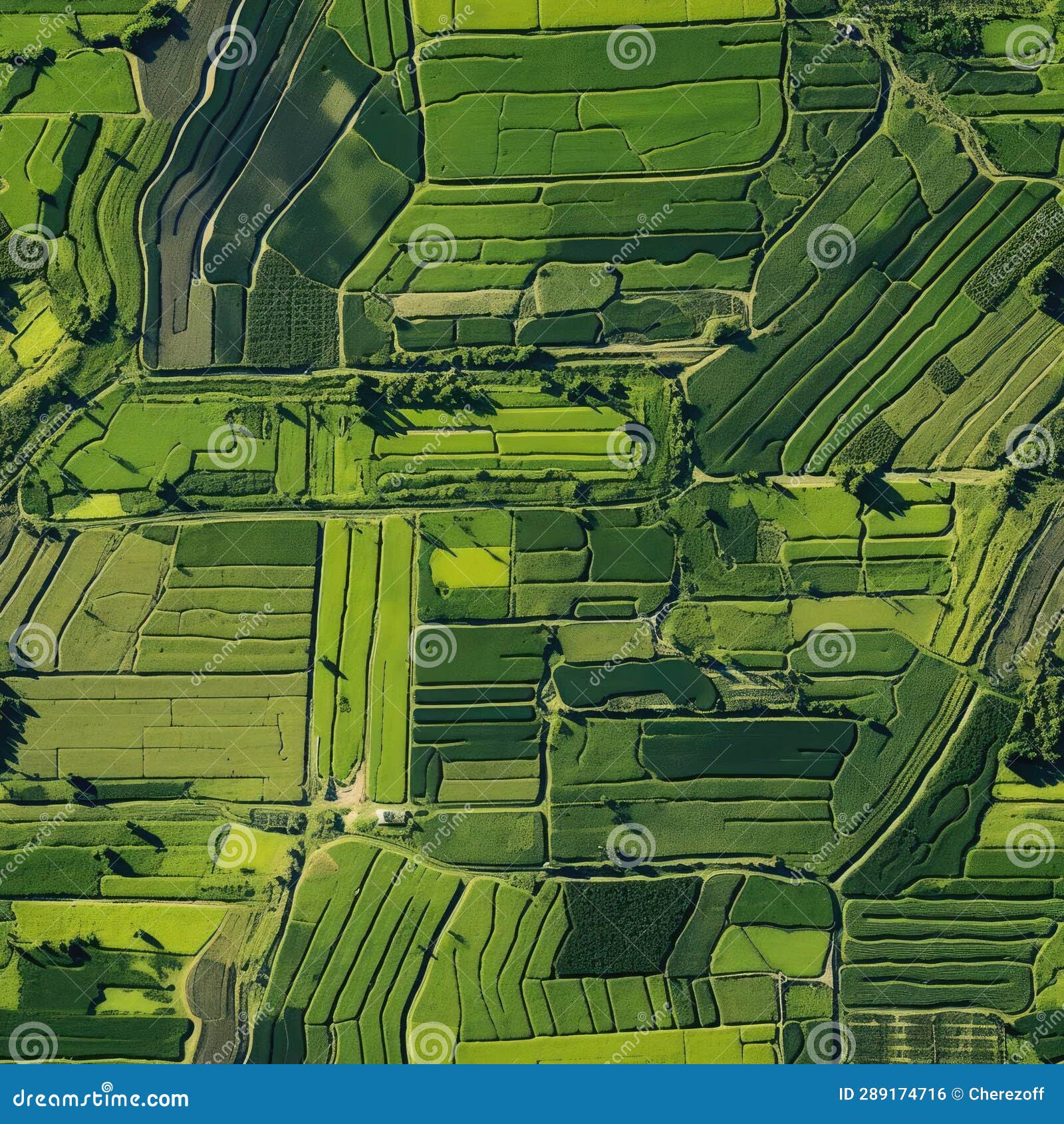 Top View of Summer Farmers Fields Stock Photo - Image of plant, view ...