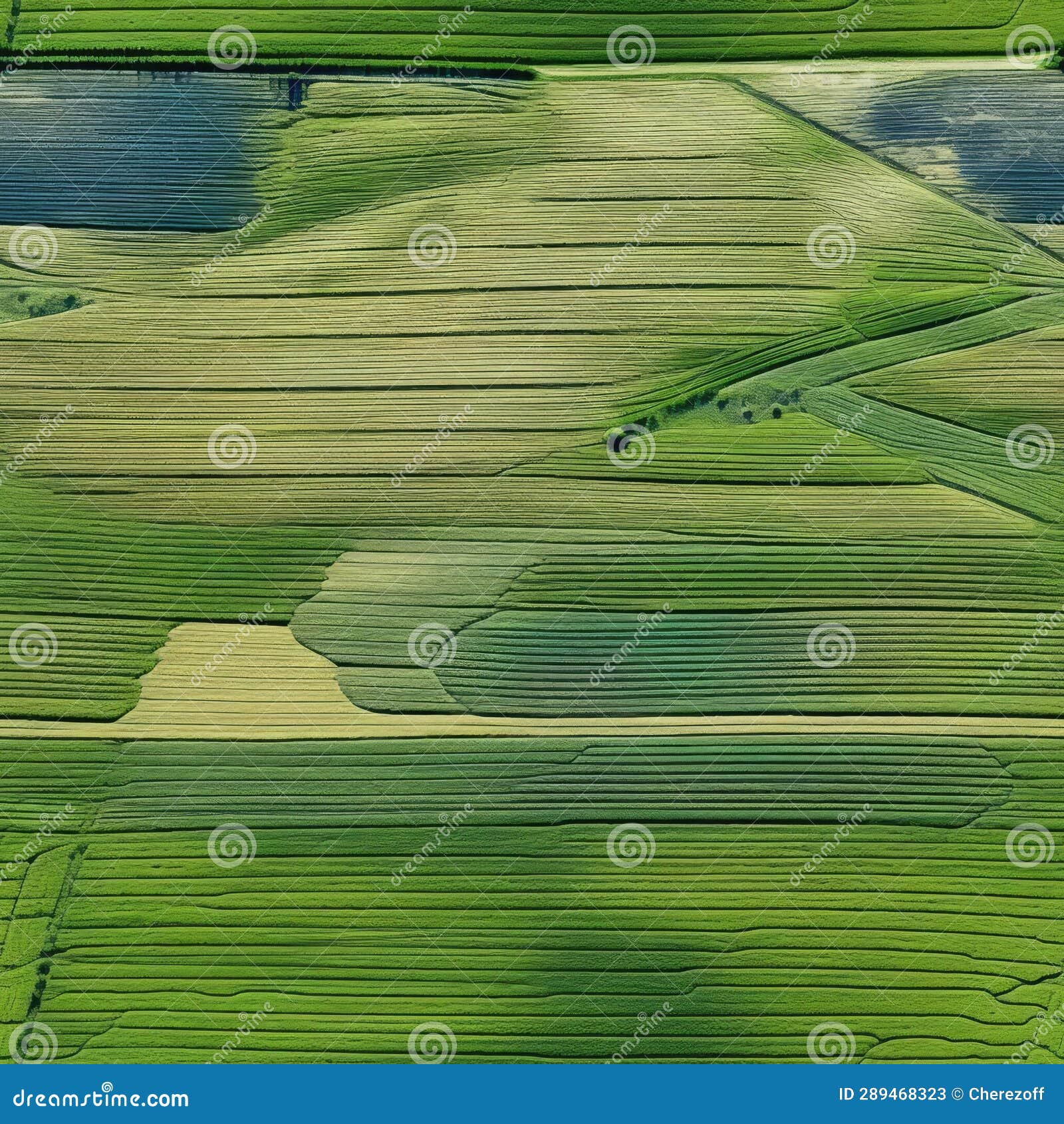 Top View of Summer Farmers Fields Stock Image - Image of agricultural ...