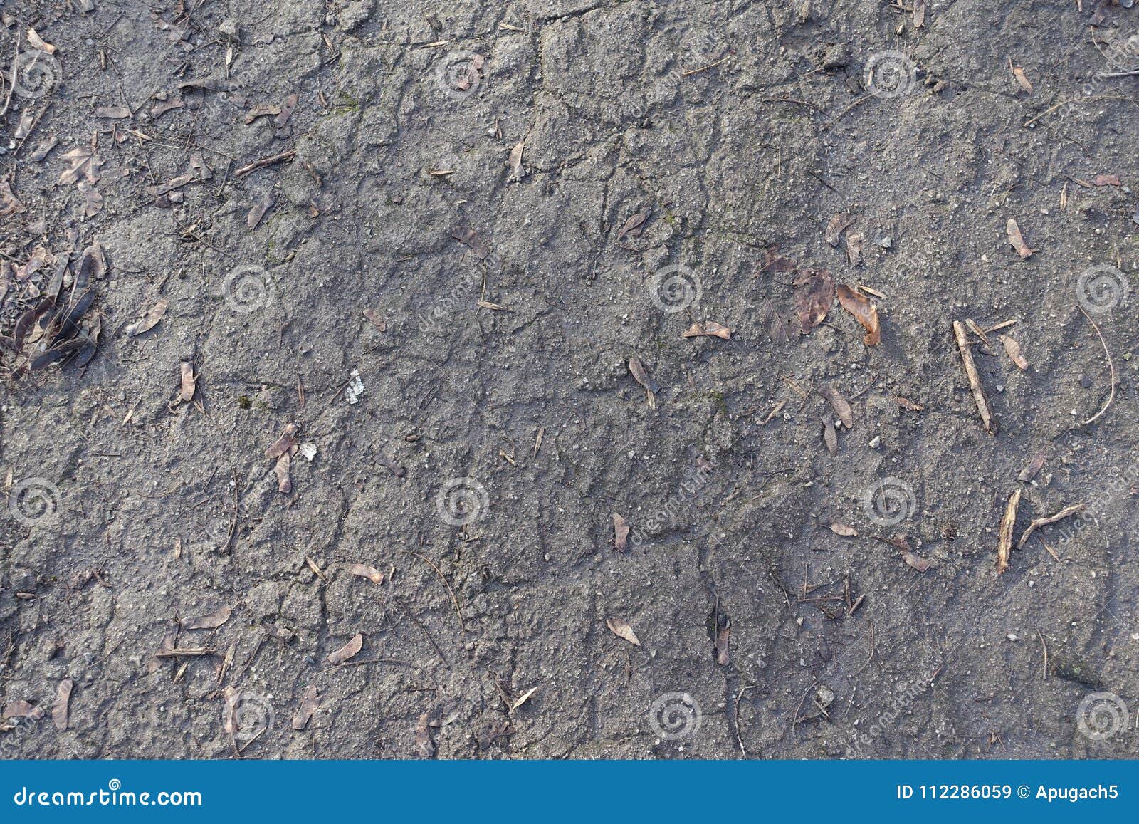 Top View of Surface of Dirt Road Stock Image - Image of rough, path ...