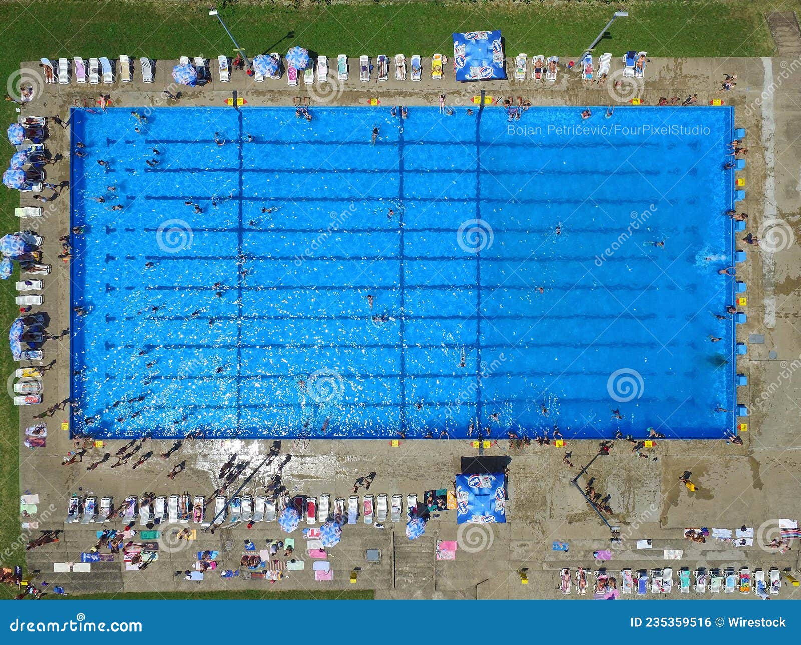 Top View of a Swimming Pool Stock Photo - Image of summer, vacation ...