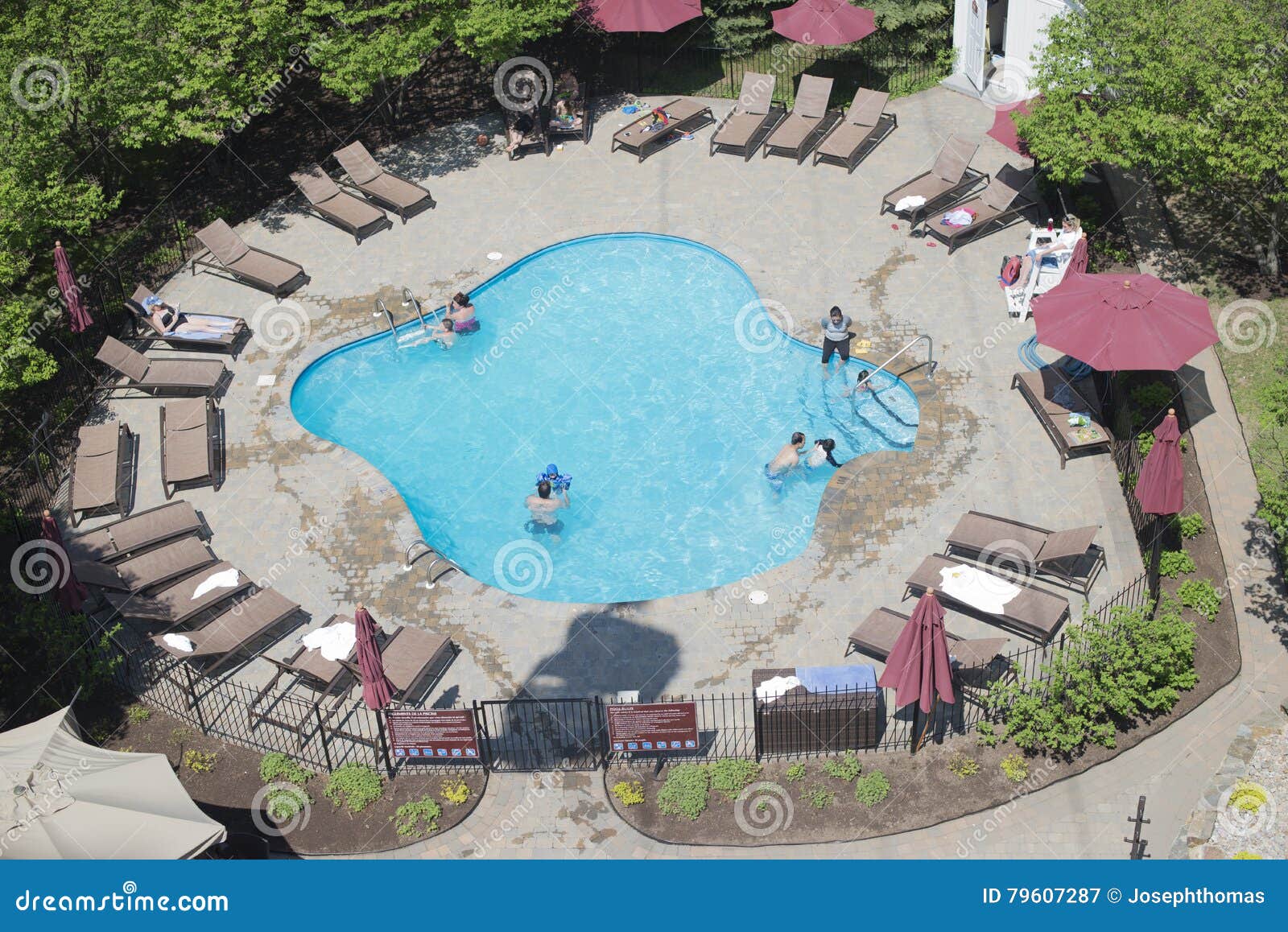 Top View of a Swimming Pool Editorial Photography - Image of holiday ...