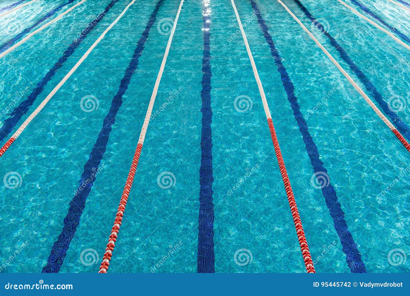 Top view of swimming pool stock photo. Image of training - 95445742