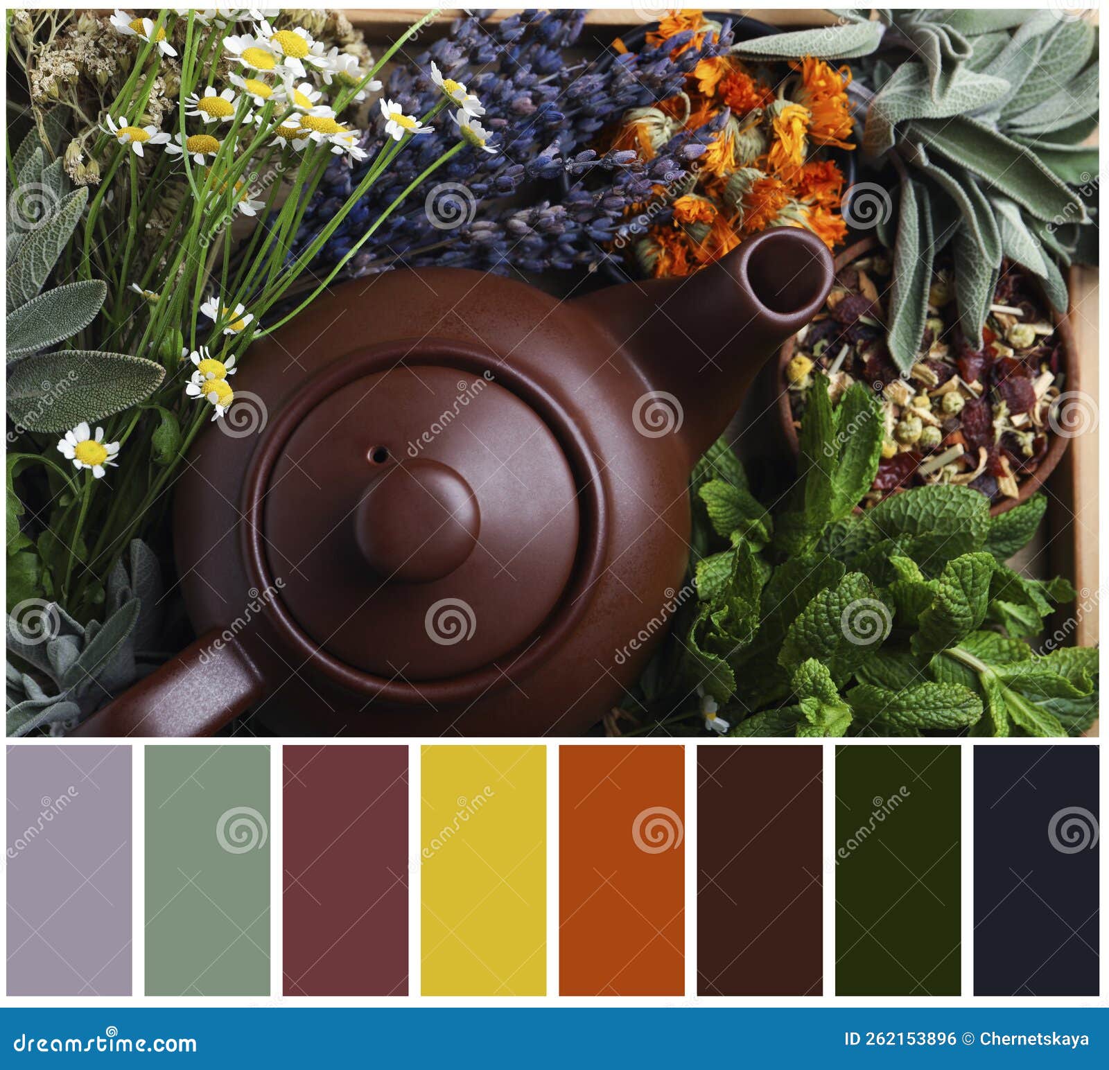 Top View of Teapot Surrounded by Different Herbs and Color Palette ...