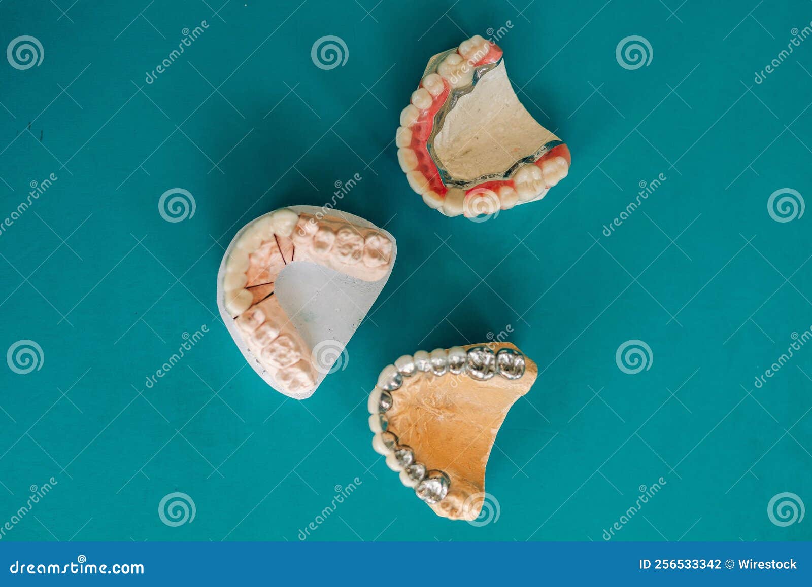 Top View of Teeth Models on a Turquoise Background Stock Photo - Image ...