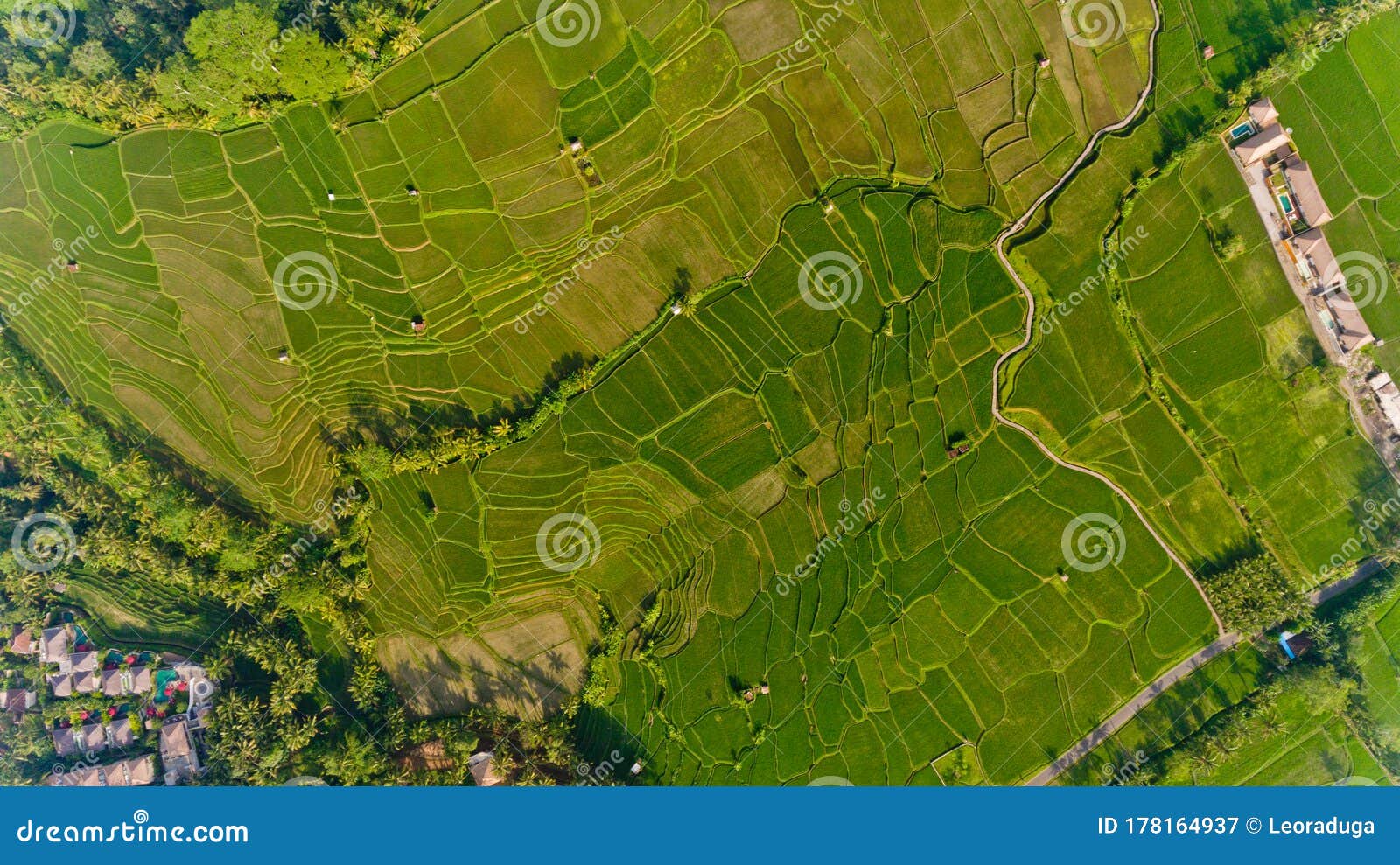 Top View of Terrace Rice Fields. Stock Image - Image of view, outdoor ...