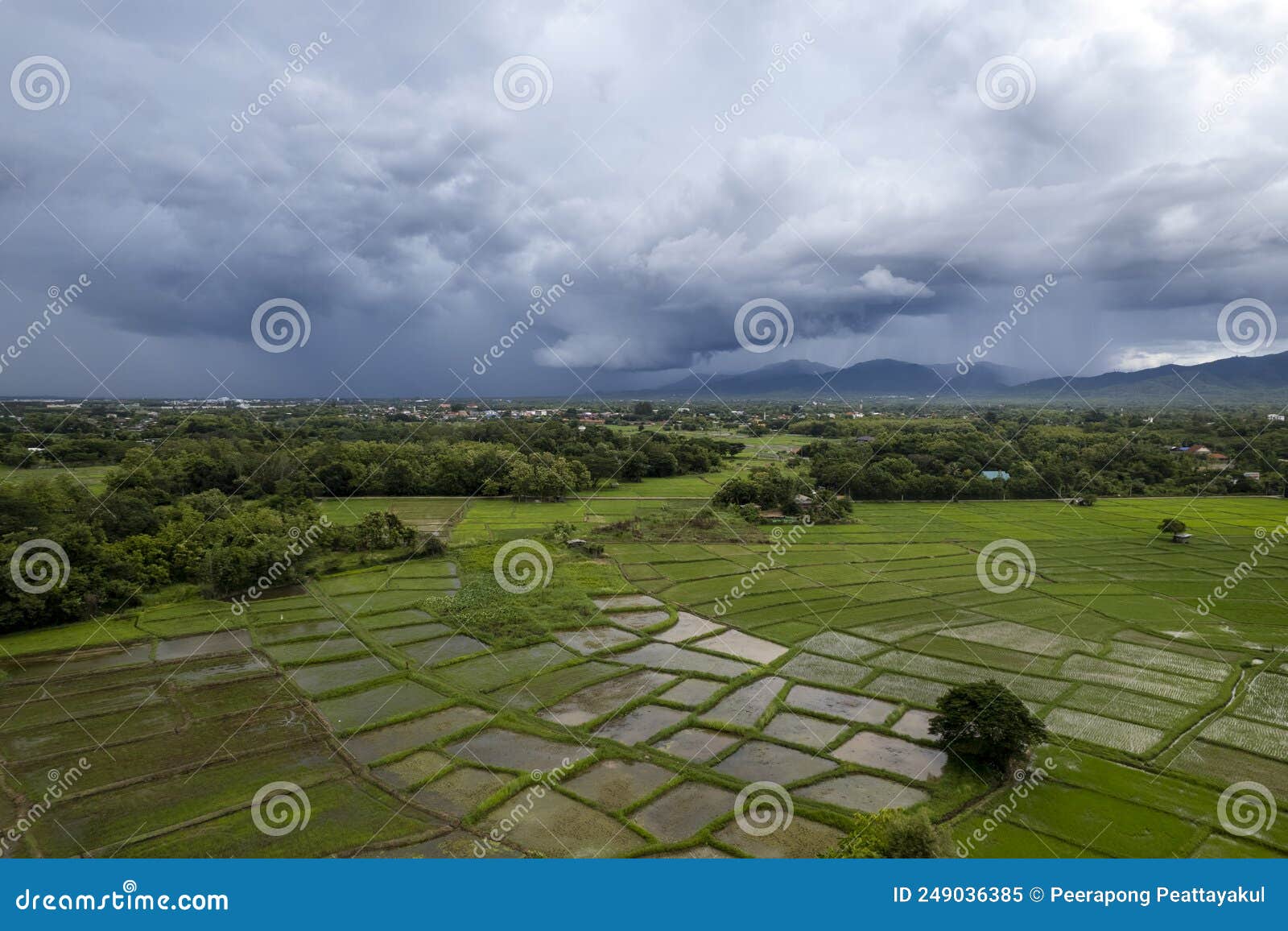 Top View Terraced Rice Field at Northern Thailand Stock Image - Image ...