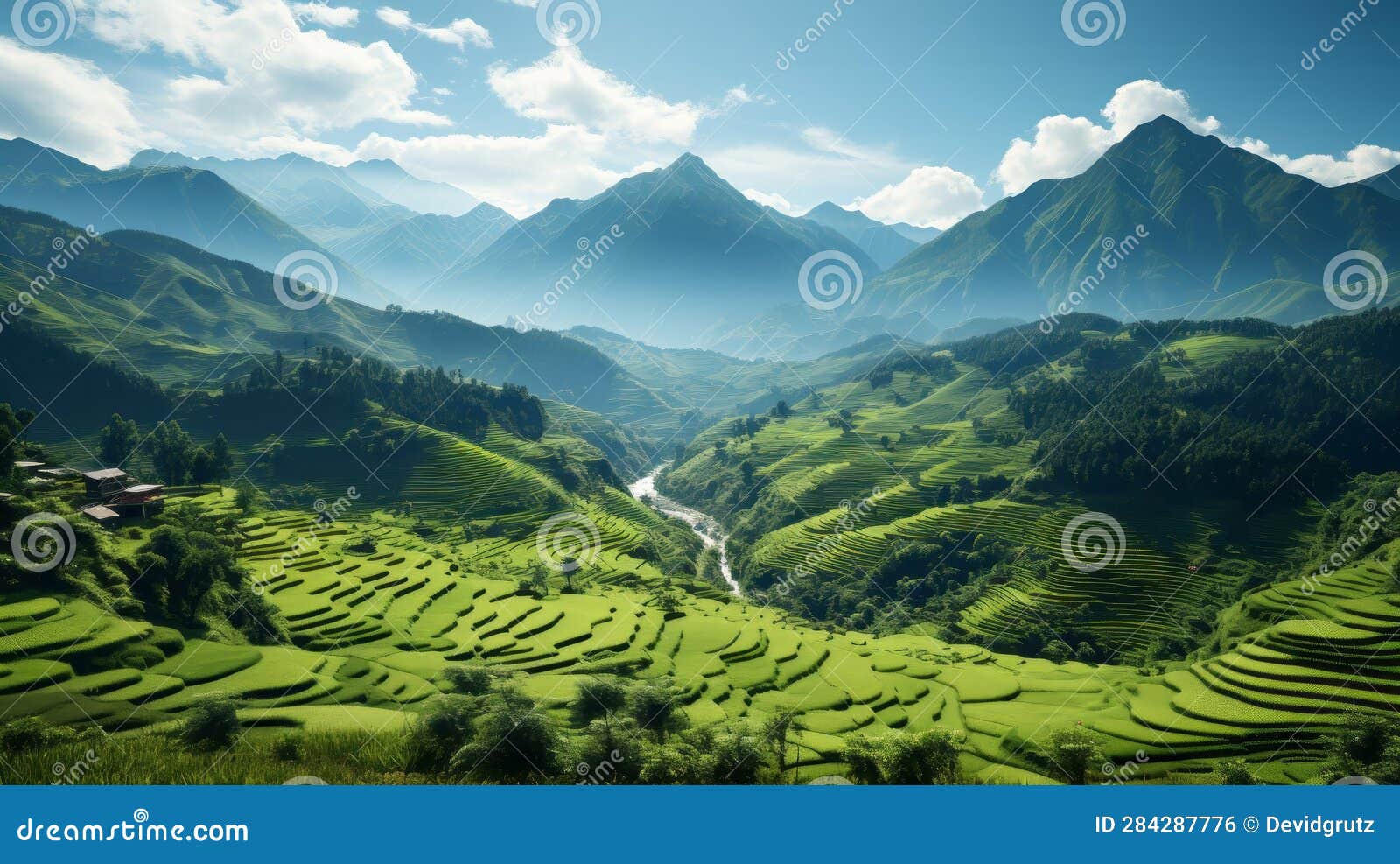 Top View of Terraced Rice Fields. Generative AI. Stock Illustration ...