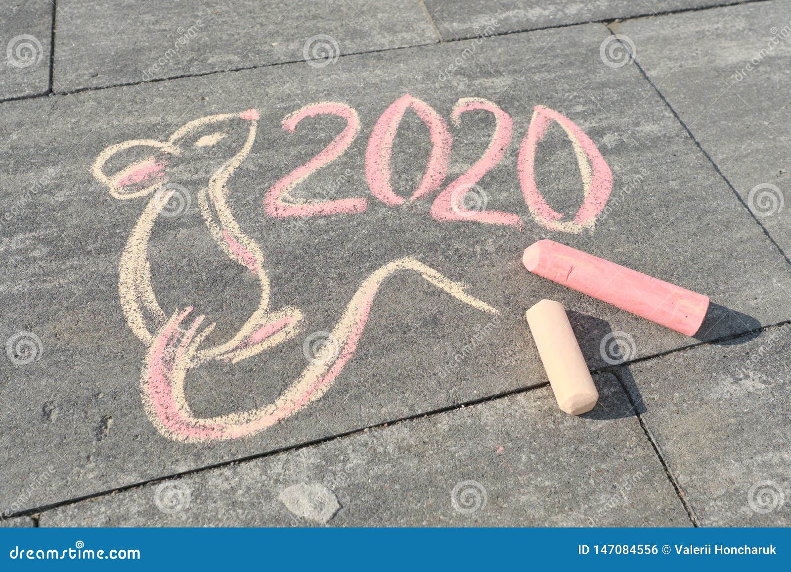 1,080 Rat Top View Stock Photos - Free & Royalty-Free Stock Photos from ...