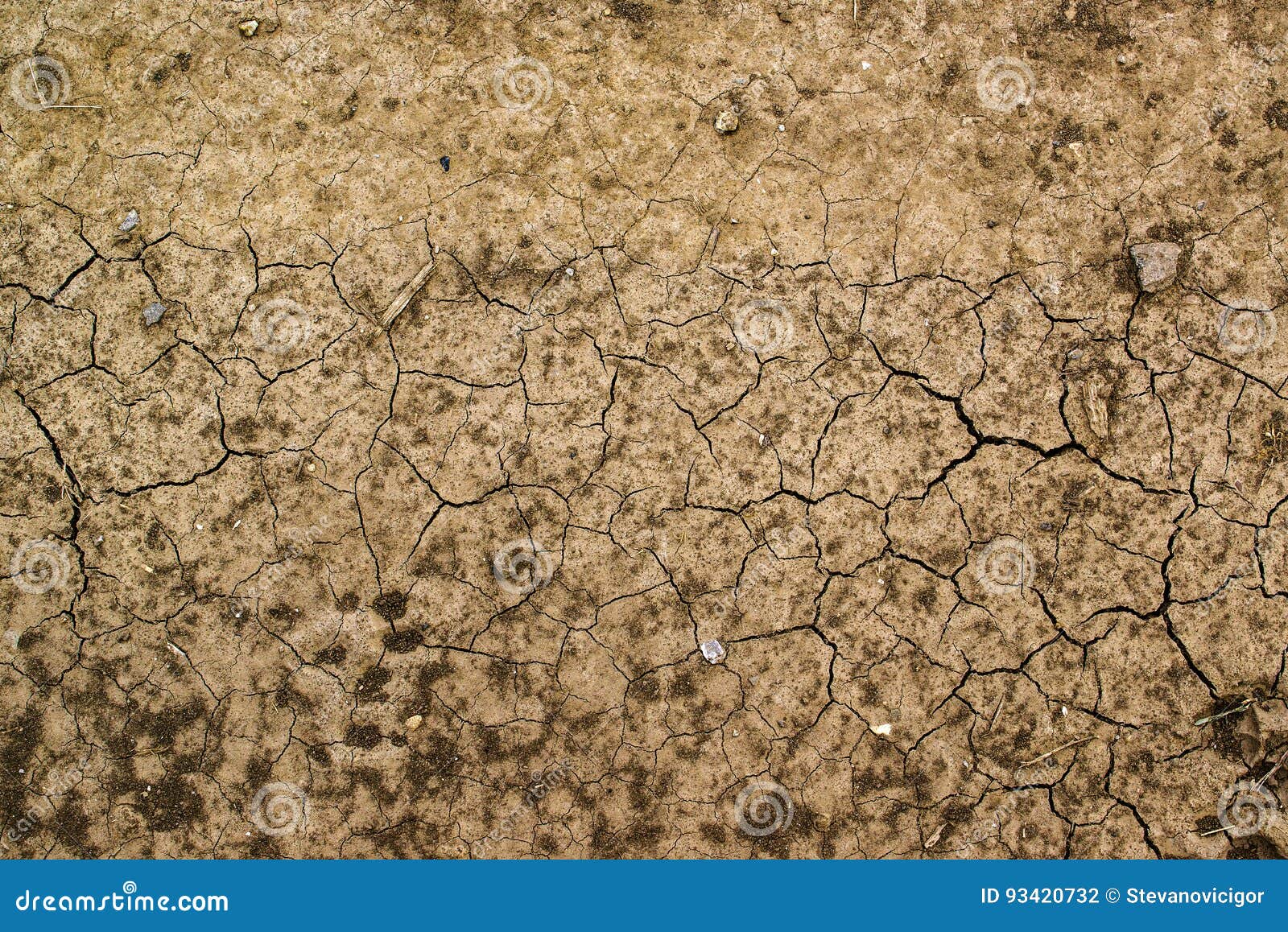 Top View Texture of Dry Ground Stock Photo - Image of land, texture ...