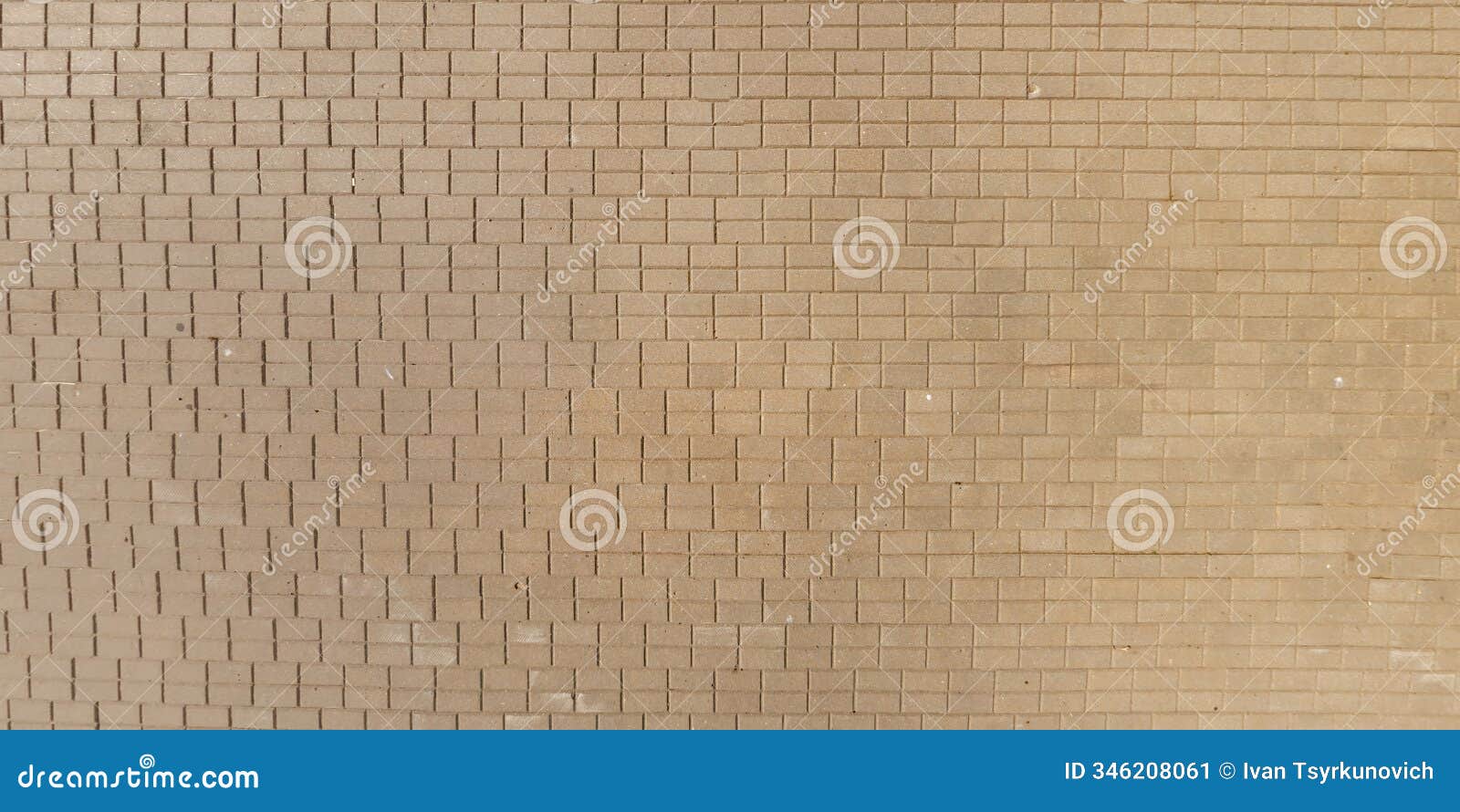 Top View of the Texture of Paving Slabs on Pedestrian Path Stock ...