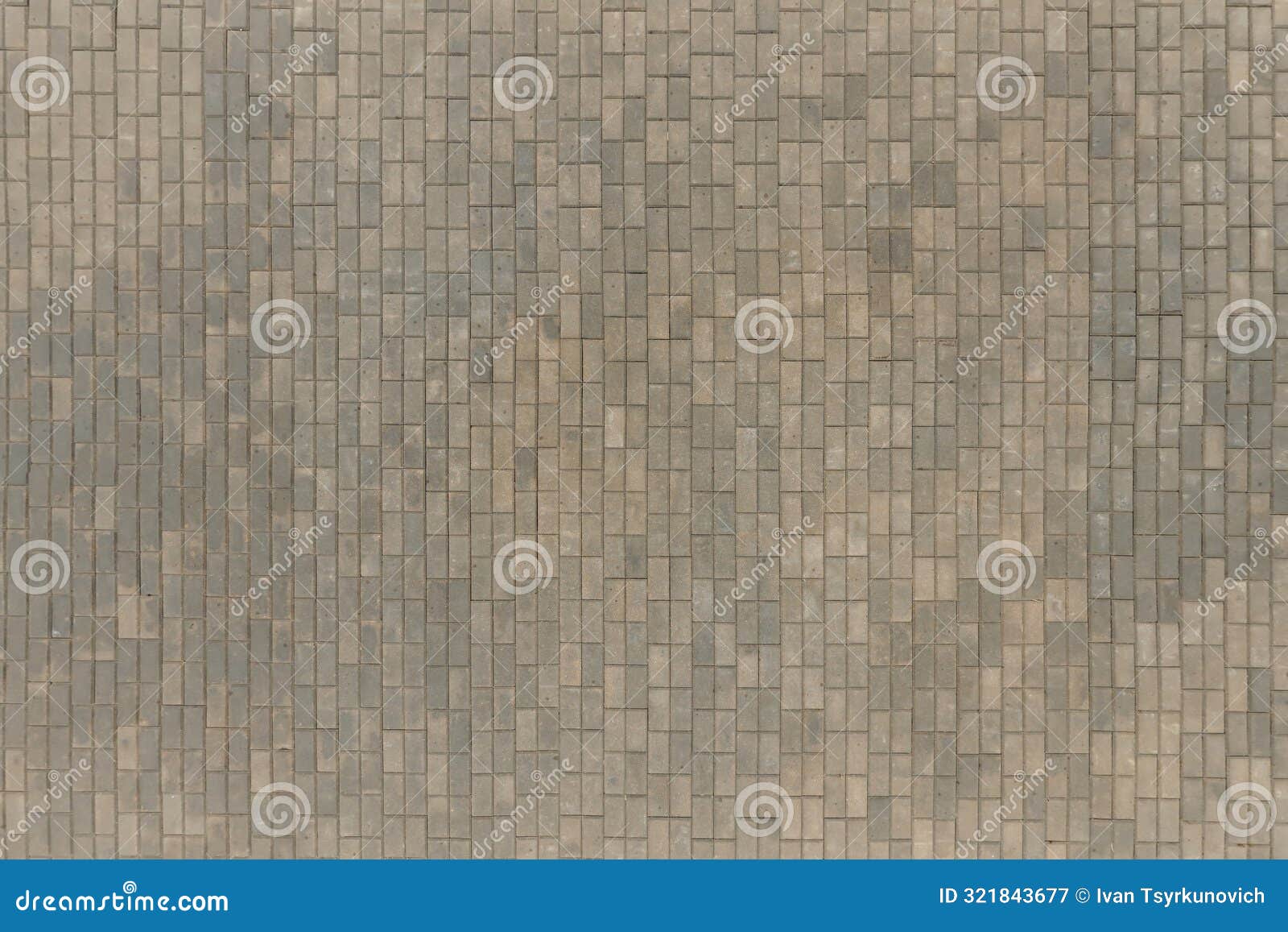 Top View of the Texture of Paving Slabs on Pedestrian Path Stock Image ...