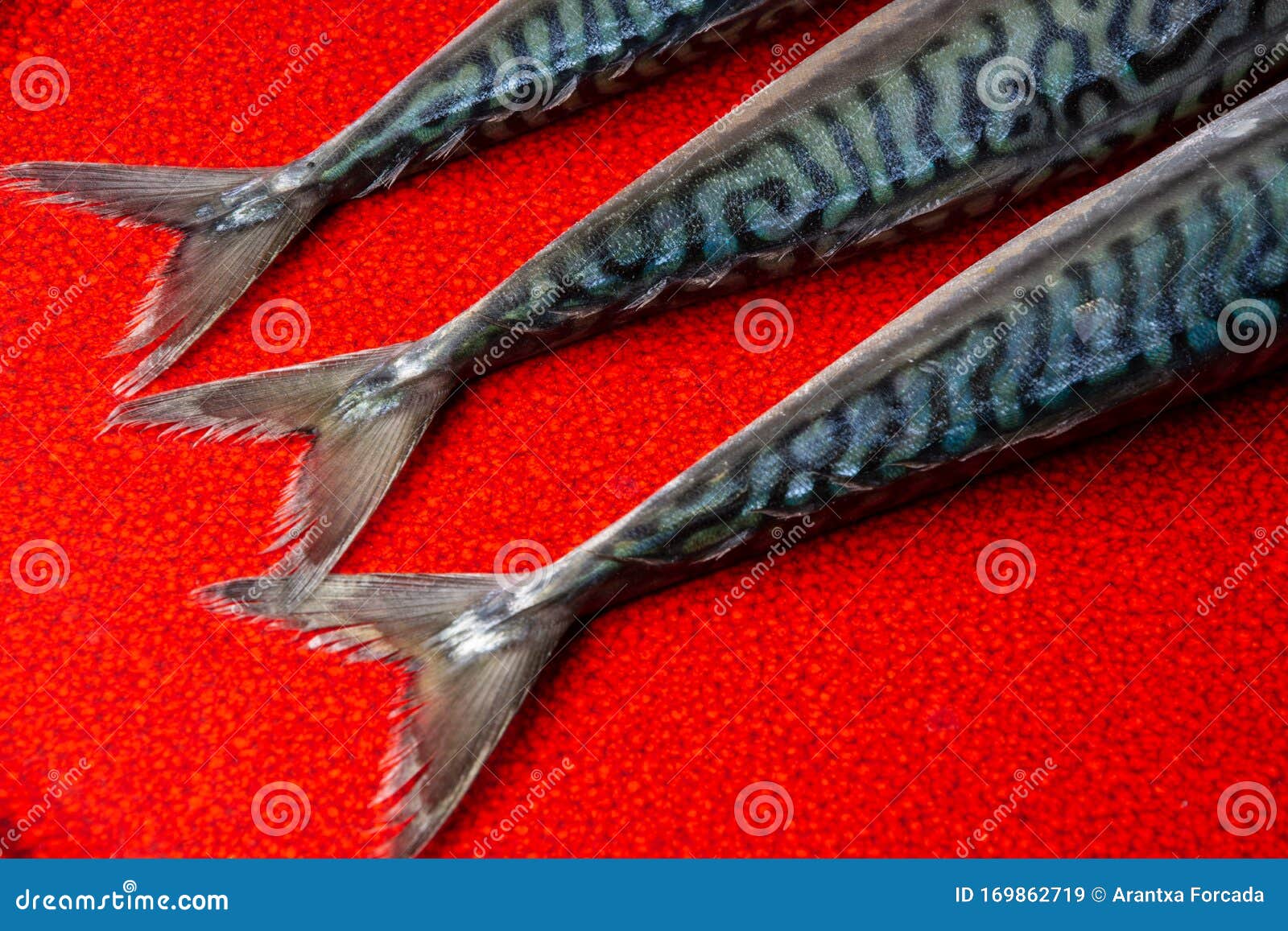 Top View of Three Mackerel Tails on a Red Plate, Horizonta Stock Image ...