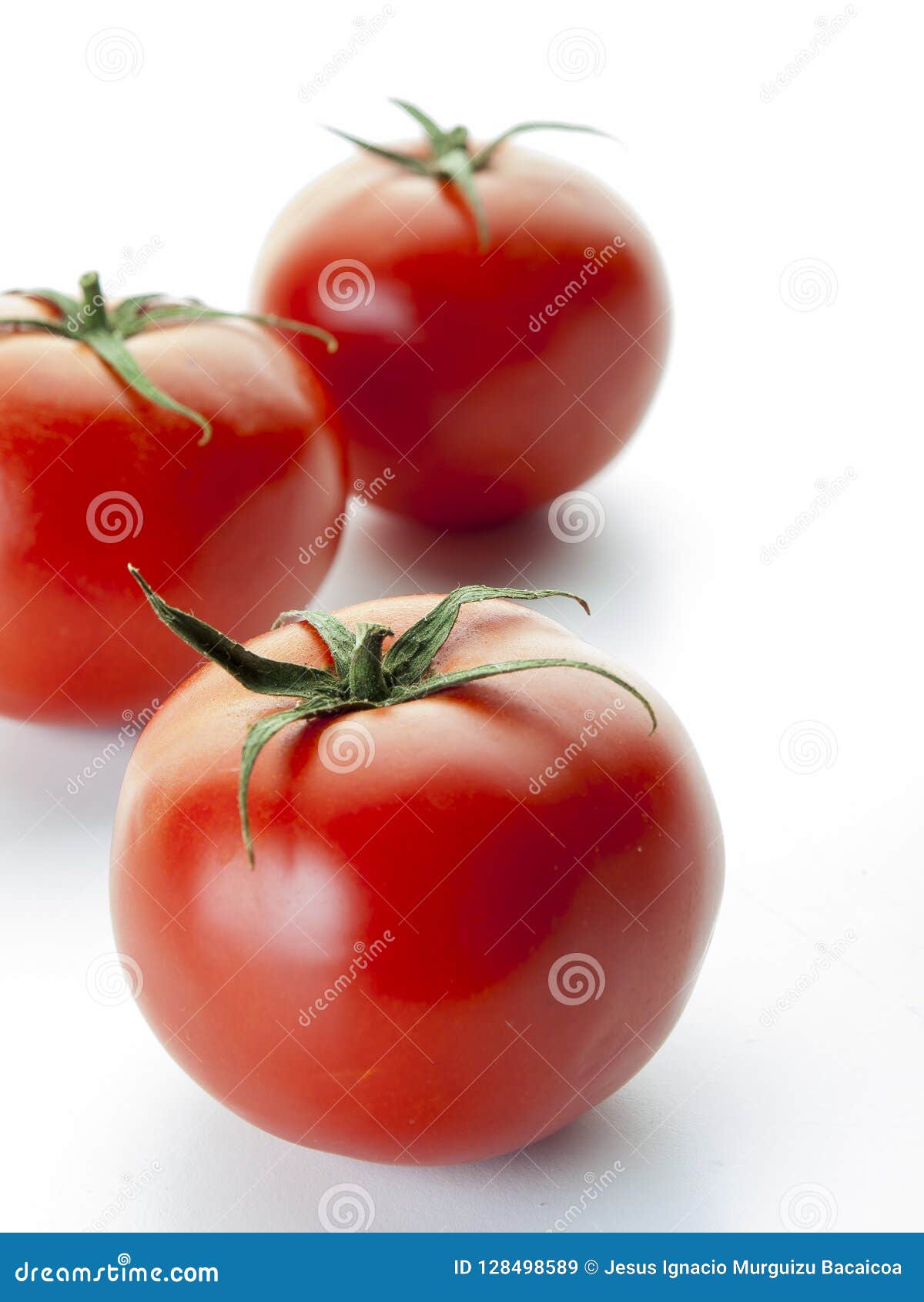 Front View of Two Green Peppers from Gernika Stock Image - Image of ...