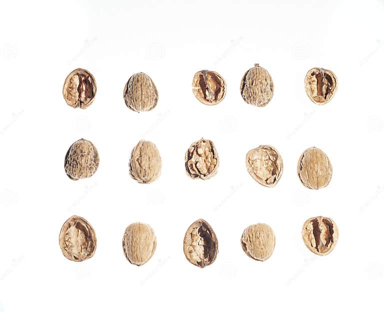 Top View of Three Rows and Five Columns of Walnuts or Parts of Walnut ...