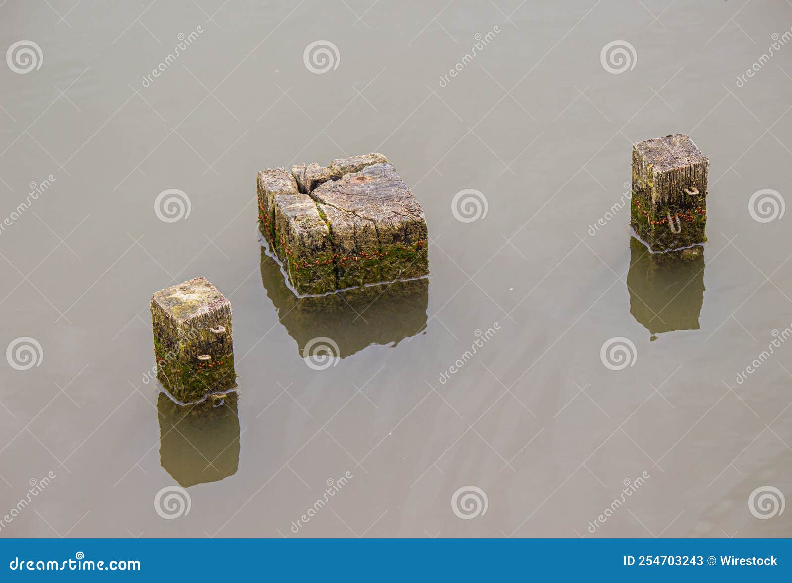 Top View of Three Stepping Stones in the Pond Stock Image - Image of ...