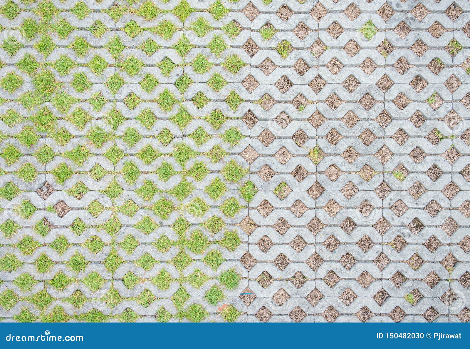 Top View Tiles with Green Grass Stock Photo - Image of closeup ...