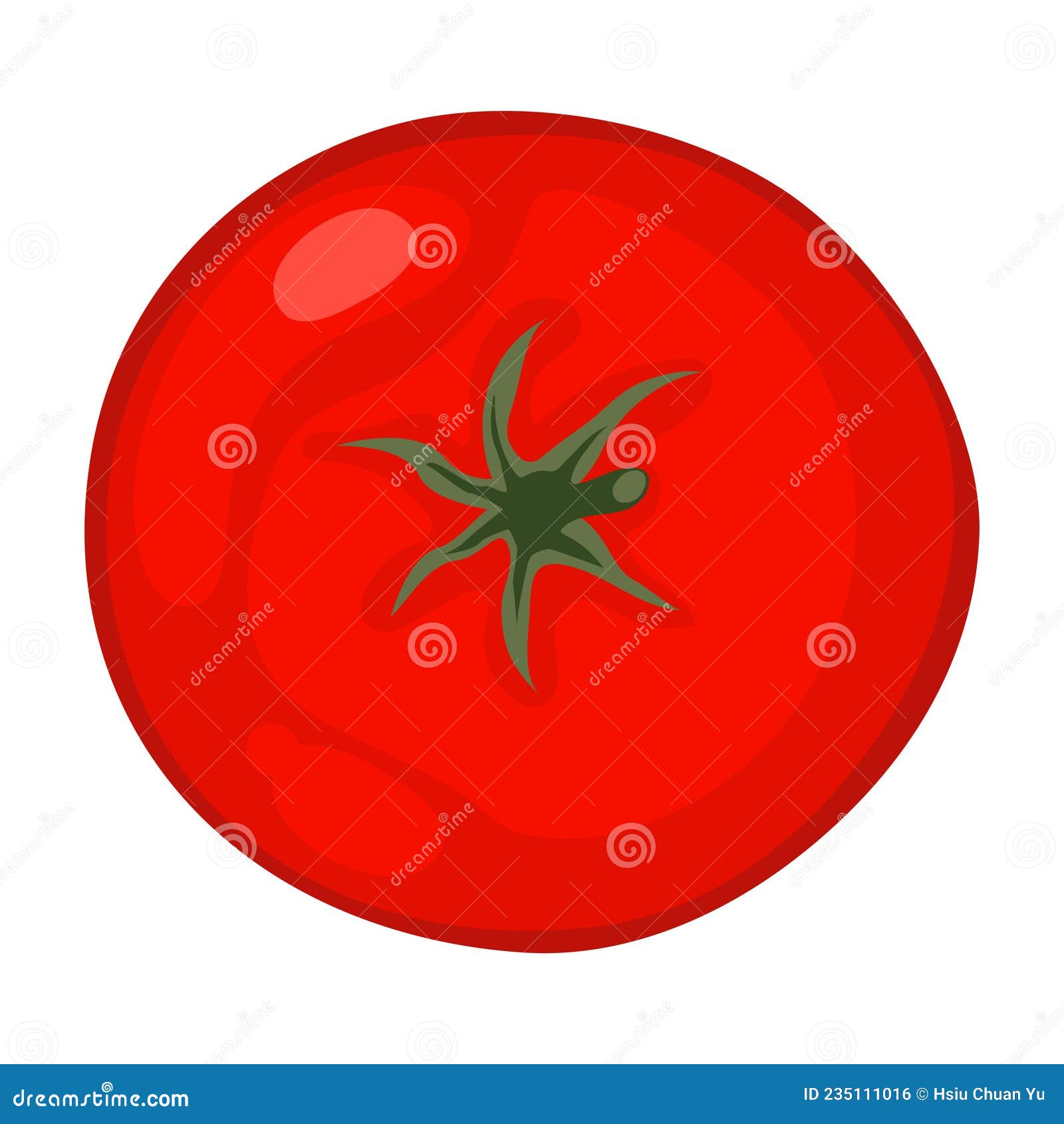 Top view tomato stock vector. Illustration of stylish - 235111016