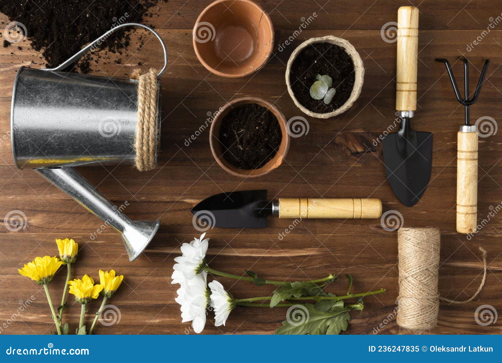 Top View Tools Gardening. High Quality Photo Stock Image - Image of ...
