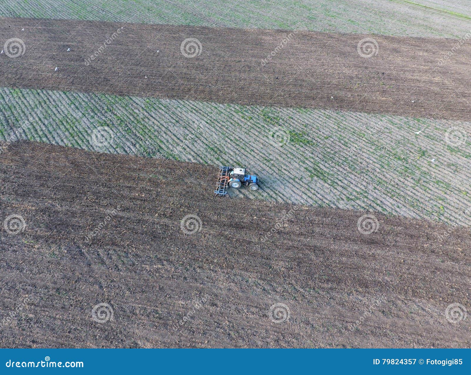 Top View of the Tractor that Plows the Field. Disking the Soil Stock ...
