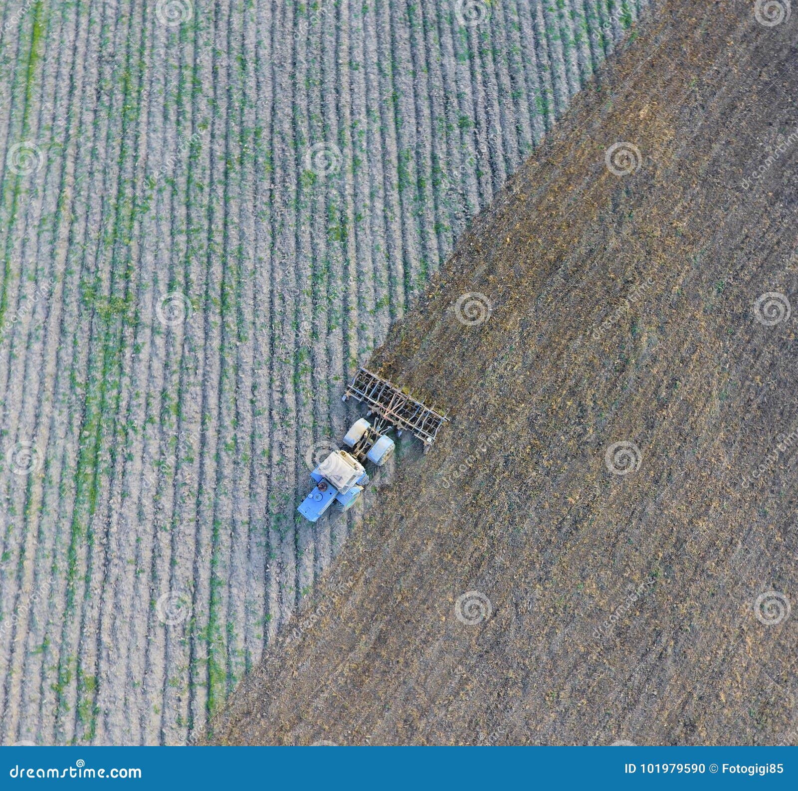 Disking The Field After Harvest For Better Fertilization Of The Soil ...