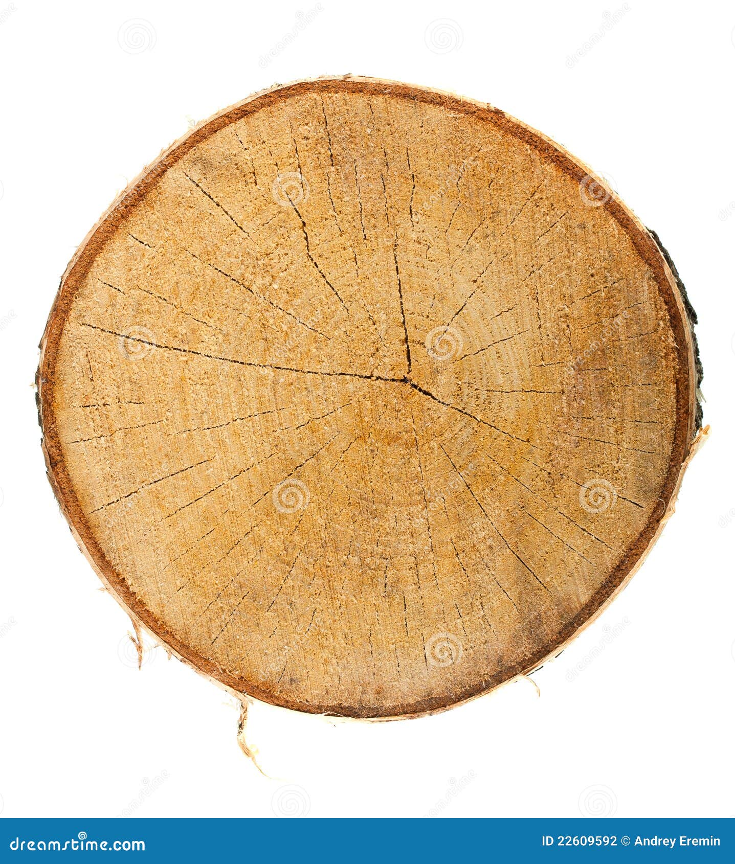 Top view of a tree stump stock photo. Image of ring, rusty - 22609592