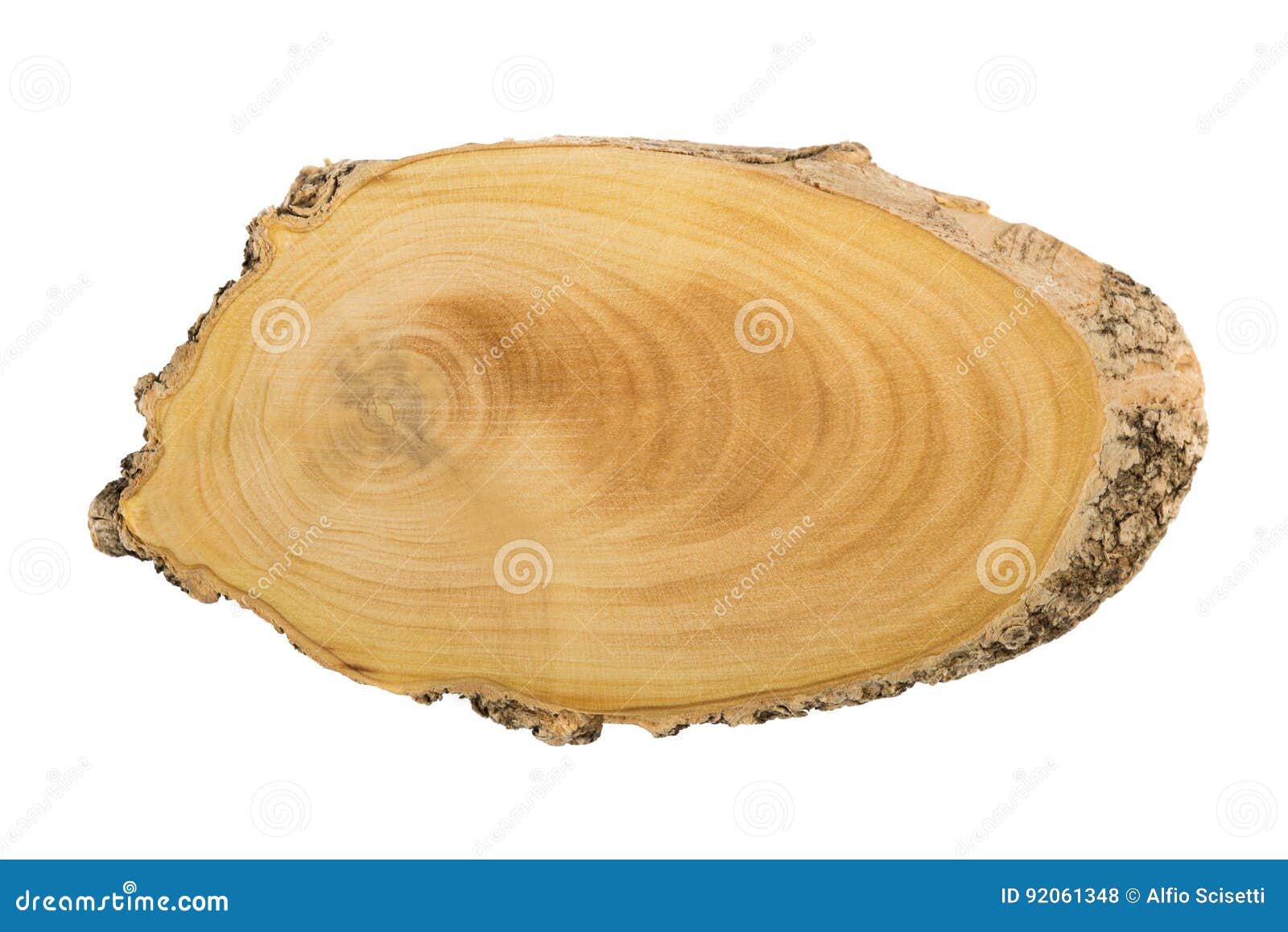 Top view of a tree stump stock photo. Image of plank - 92061348