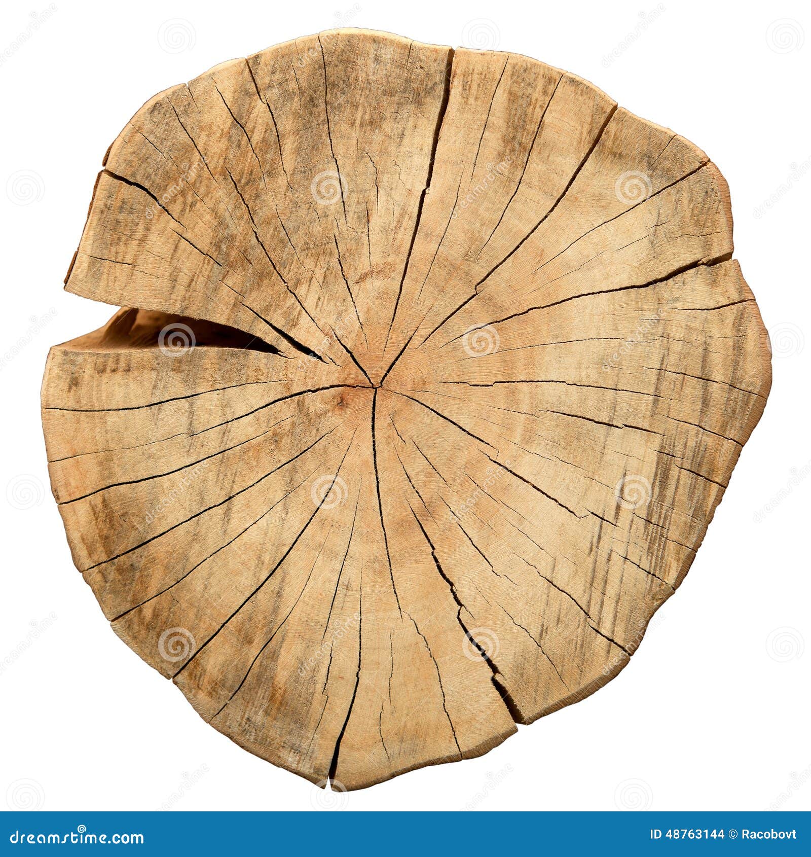 Top view of a tree stump i stock photo. Image of natural - 48763144