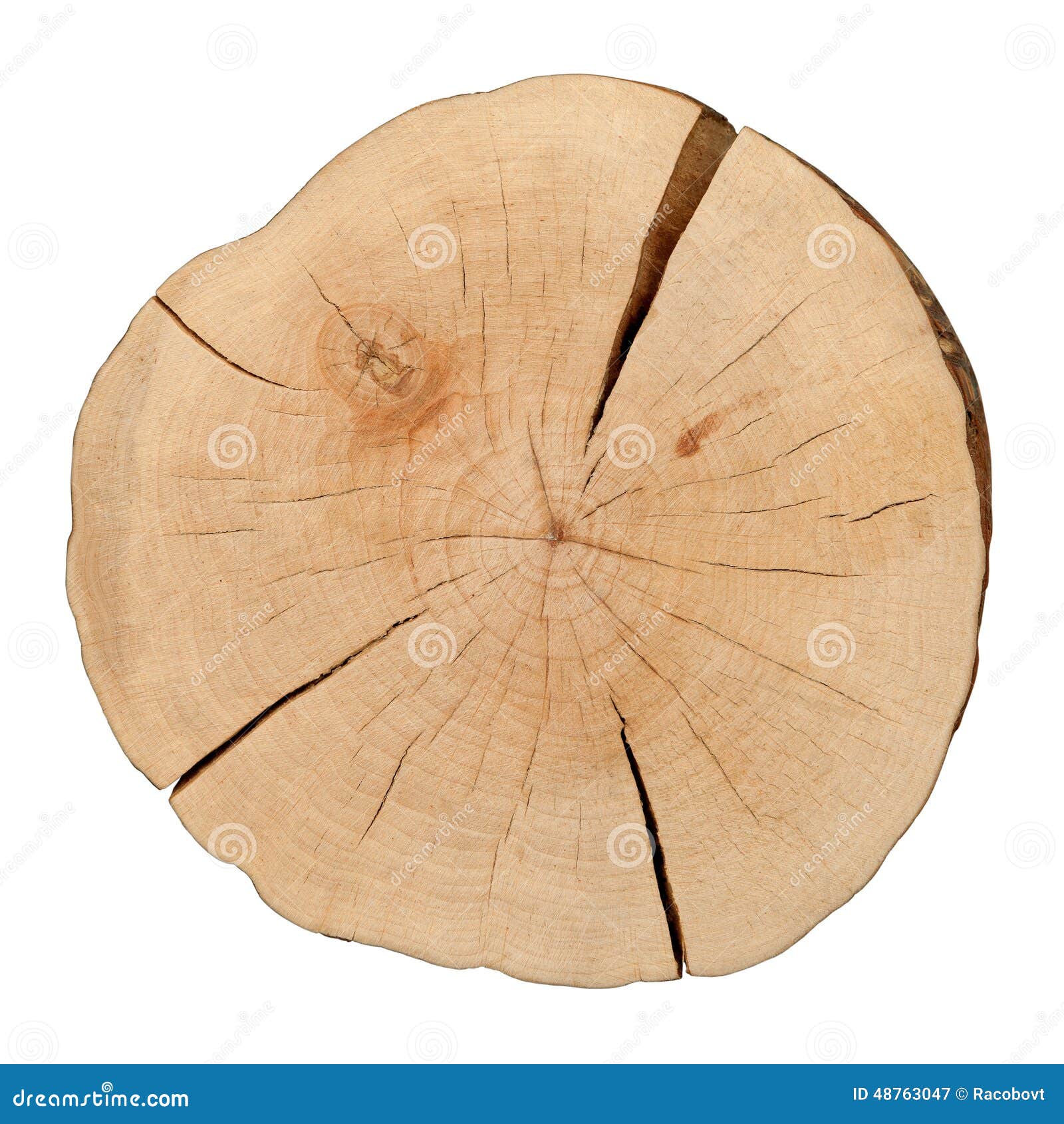 3,796 Top View Tree Stump Photos - Free & Royalty-Free Stock Photos ...