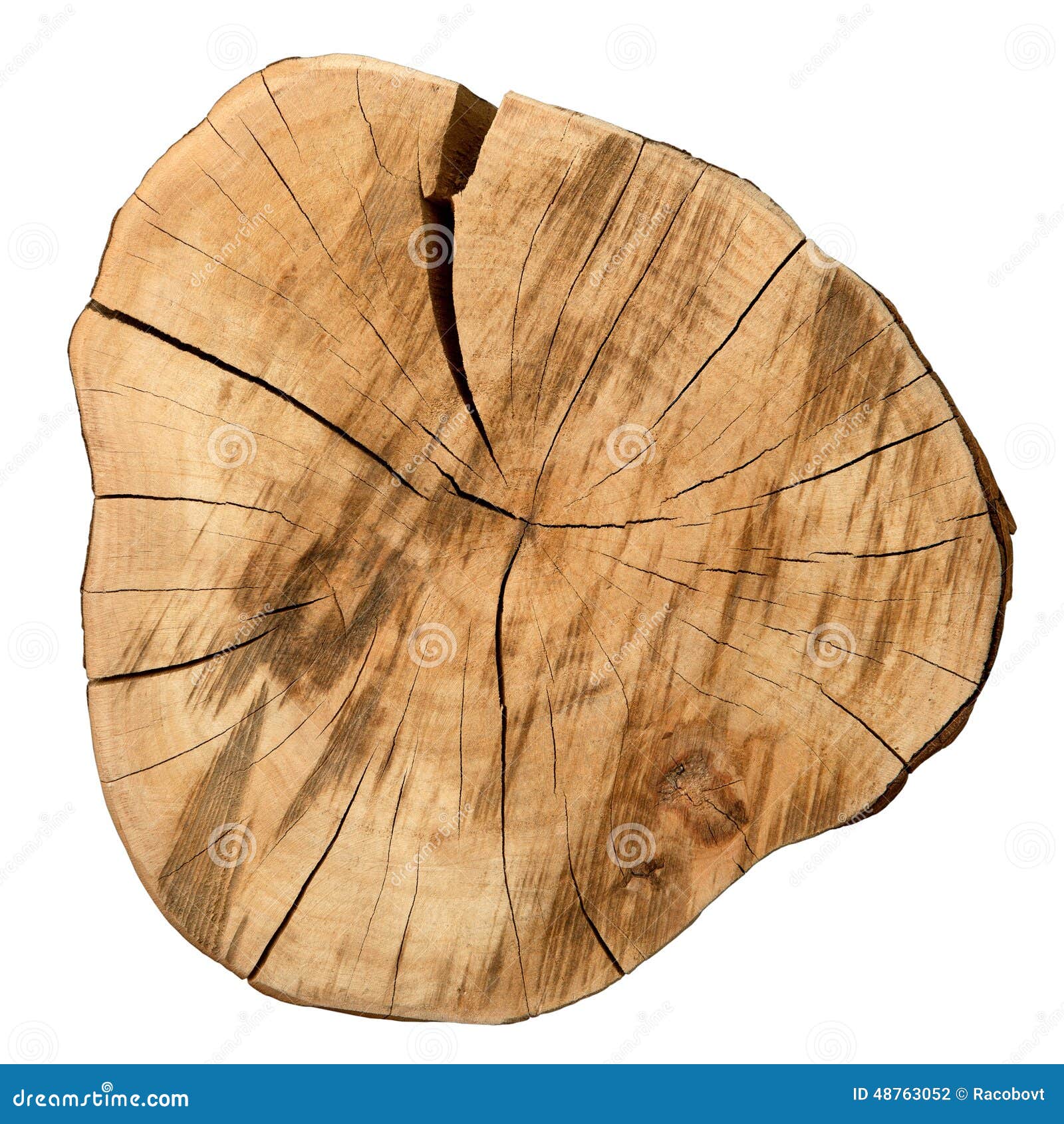 Top view of a tree stump stock photo. Image of trunk - 48763052 Top view of a tree stump stock photo. Image of trunk - 48763052