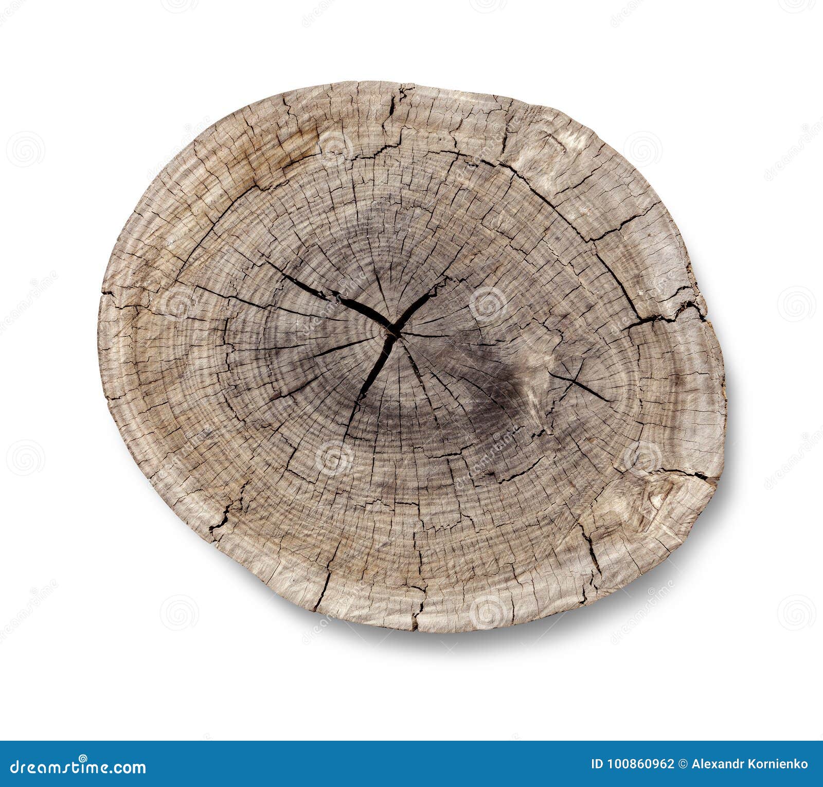 Top view of a tree stump stock photo. Image of brown - 100860962