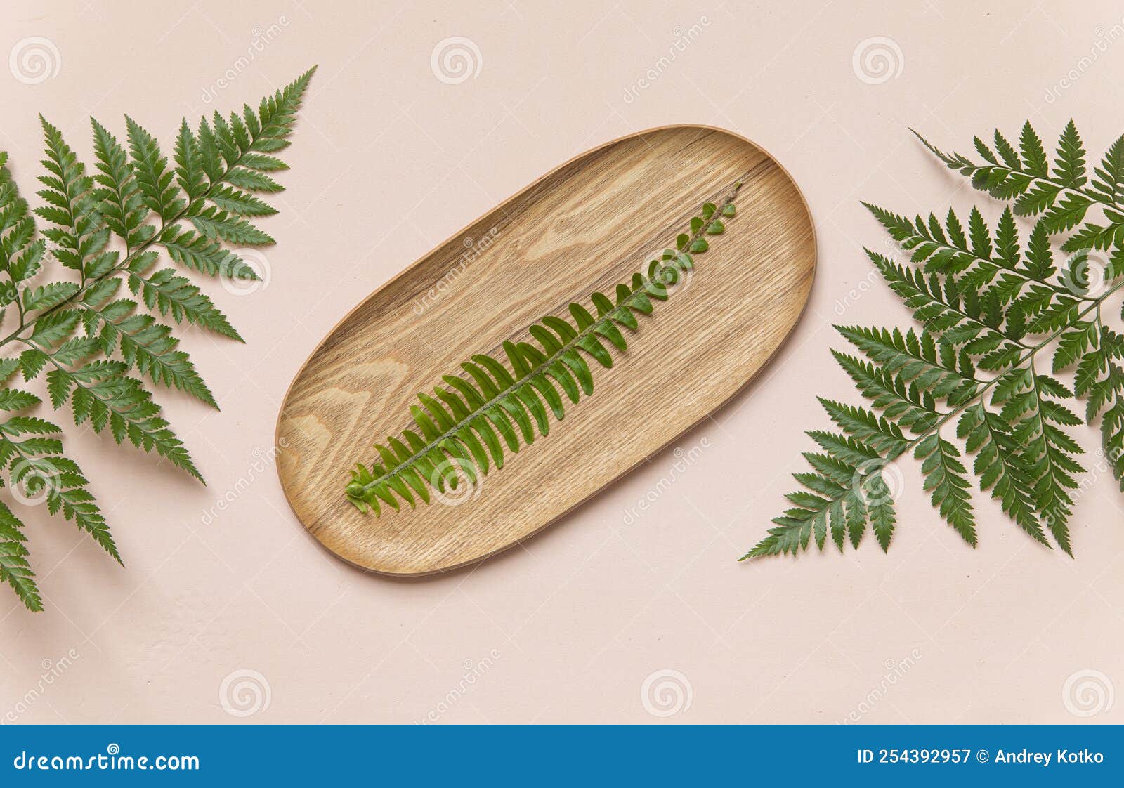 Top View Tropical Leaves on Vibrant Background. Summer Flat Lay ...