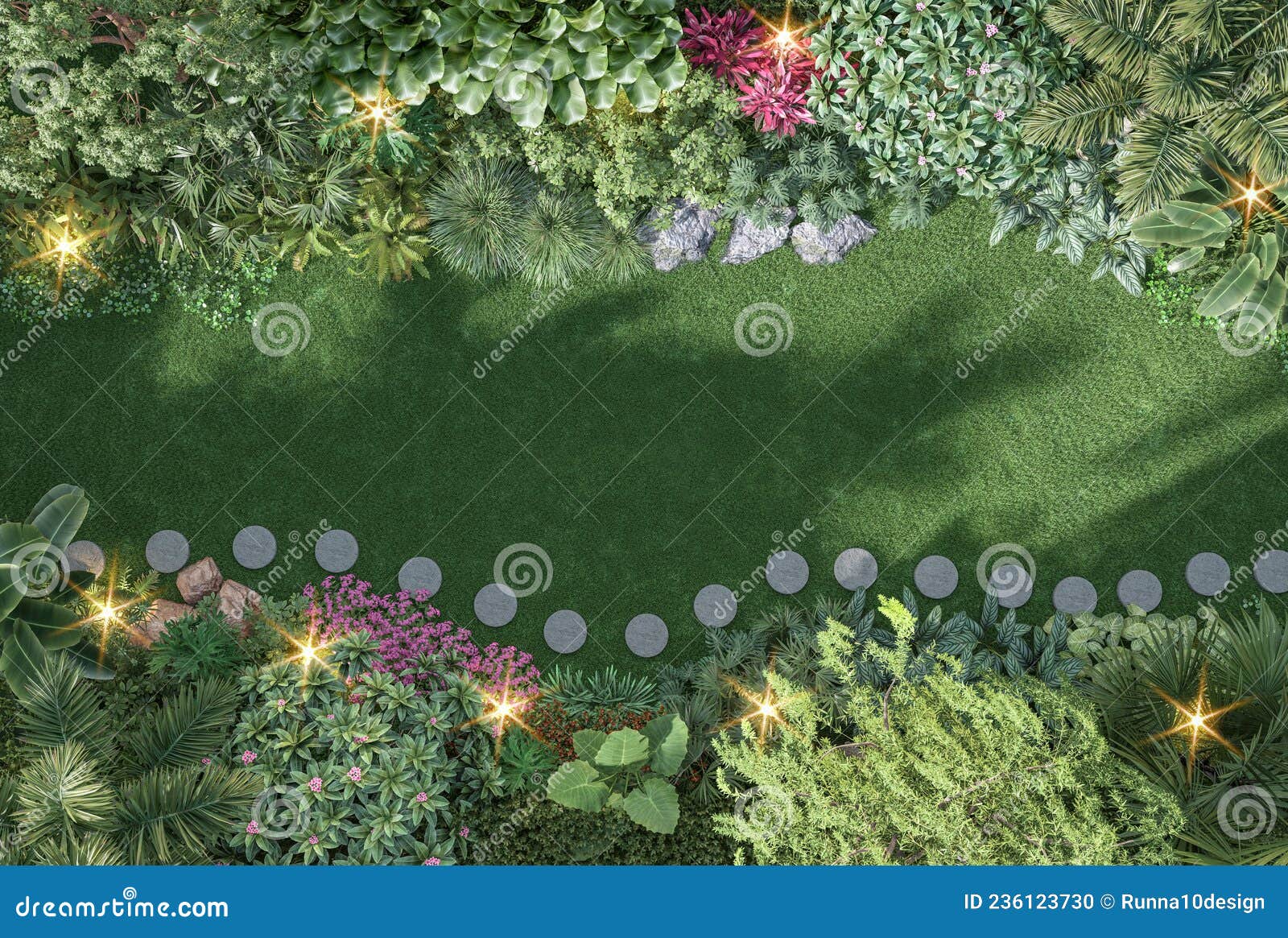 Top View Tropical Plant Tree Bush Terminalia Cattapa White Background ...