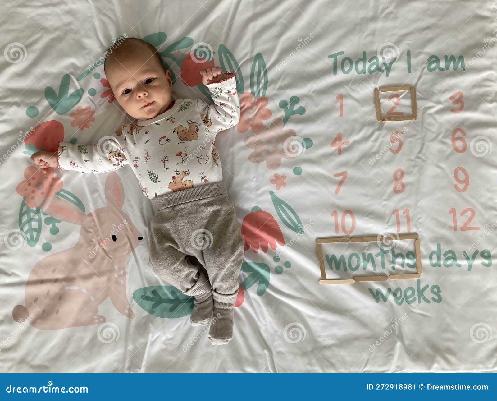 Two months old baby stock image. Image of innocence - 272918981