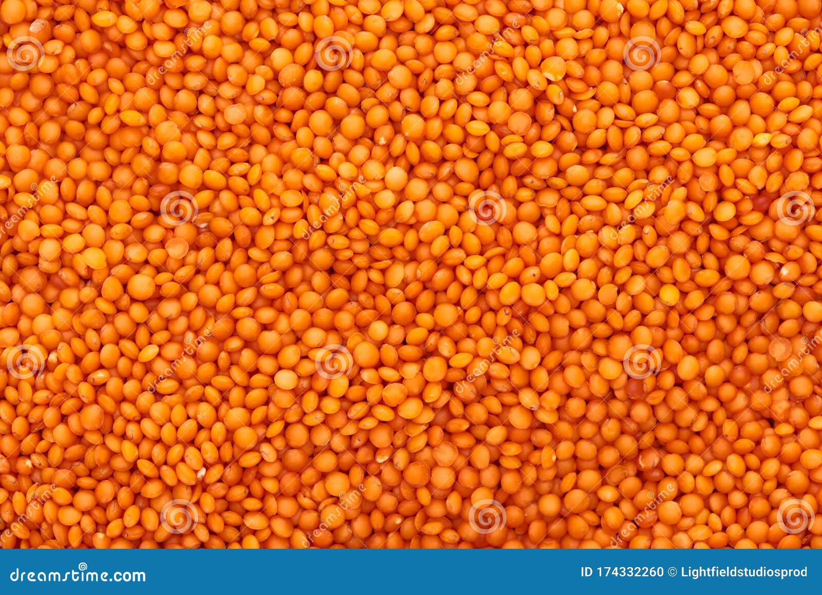 Top View of Uncooked Organic Red Lentil. Stock Photo - Image of ...