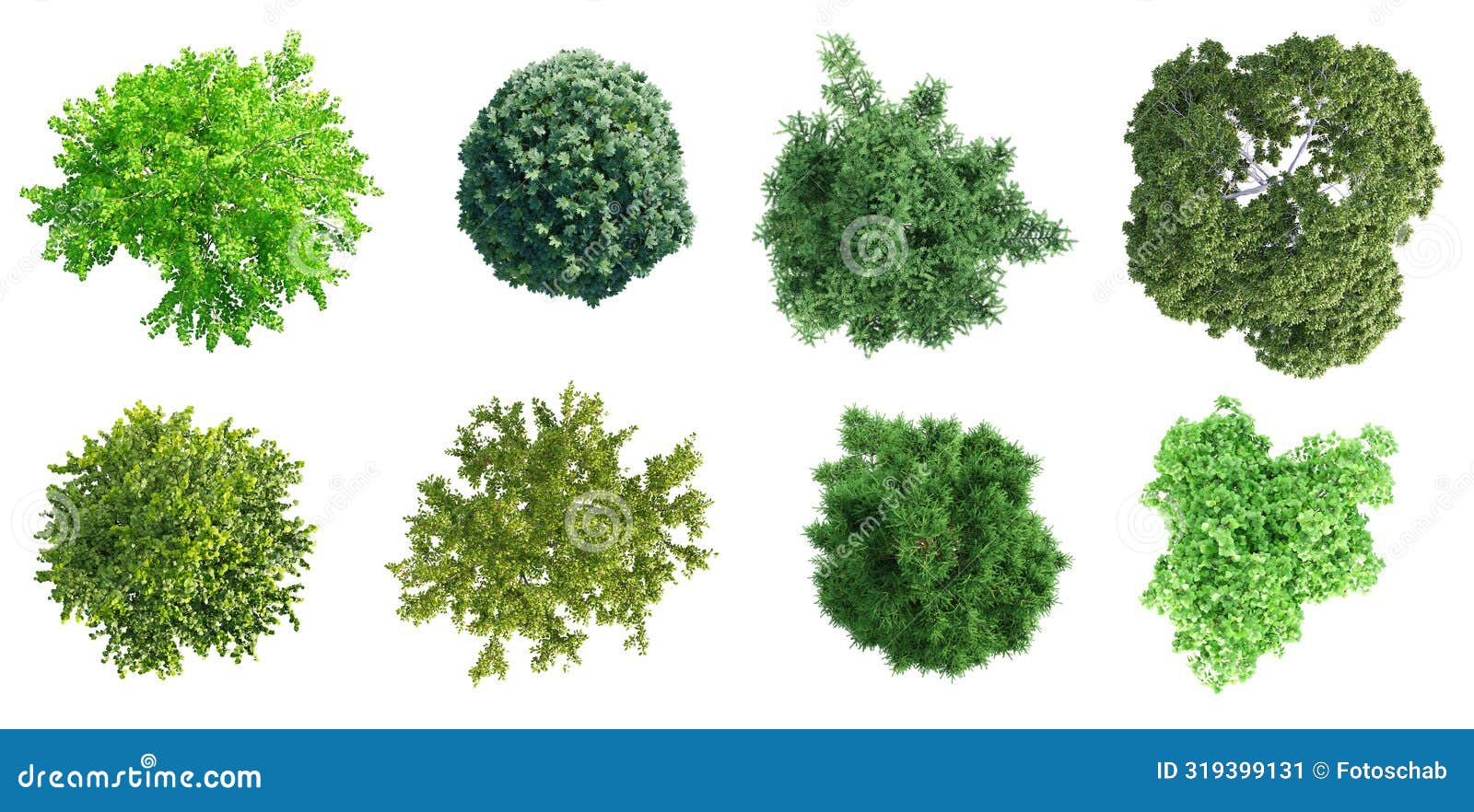 Top View of Various Types of Trees Isolated on White Background. 3D ...