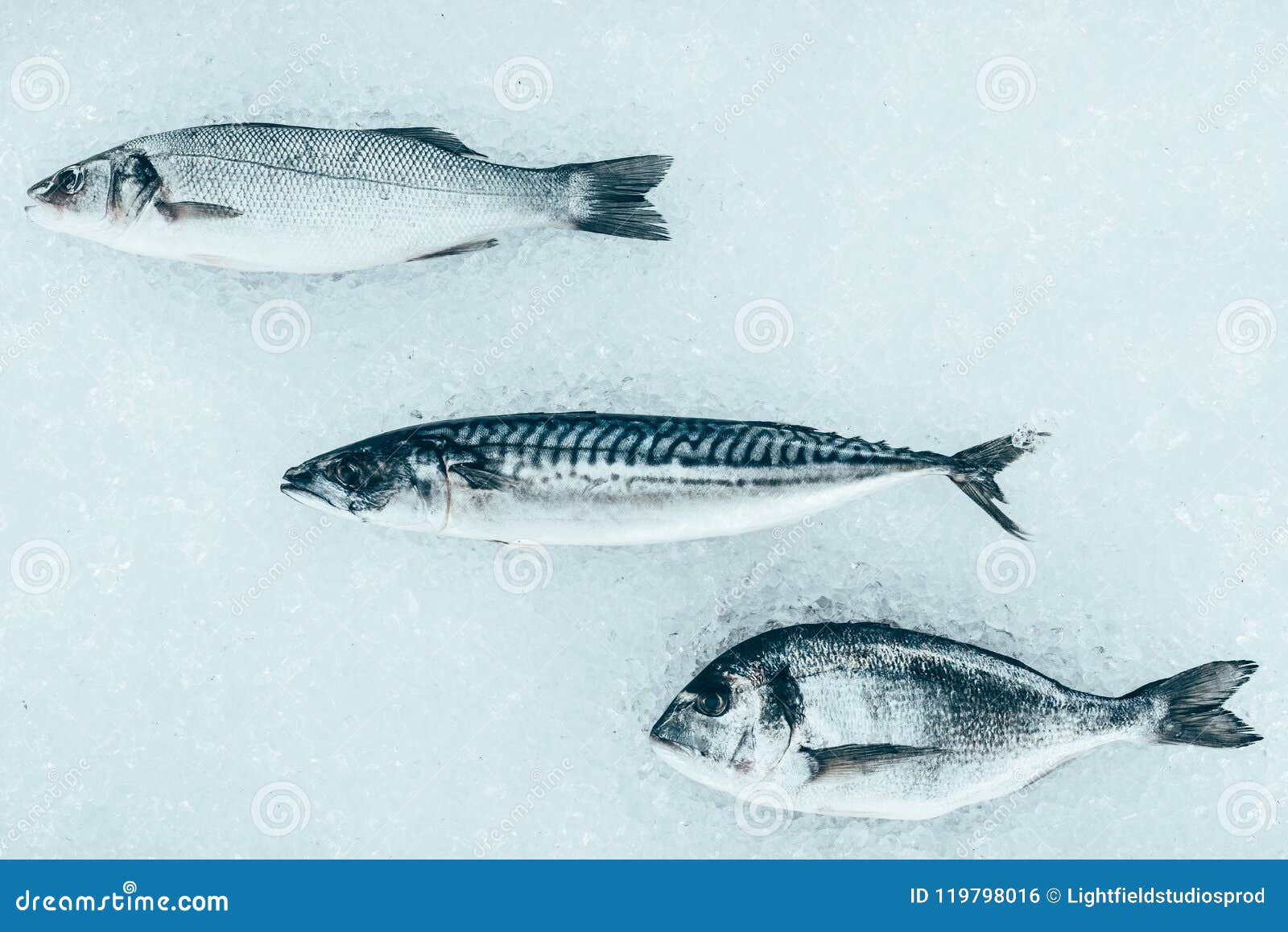 Top View of Various Uncooked Healthy Sea Fish Stock Photo - Image of ...