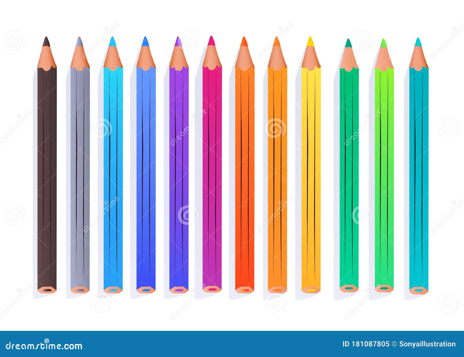 Top View Vector Illustration of Color Pencils Stock Vector ...