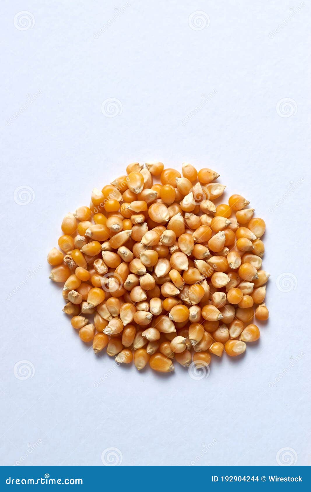 Top View Vertical Shot of a Pile of Corn Kernels on a White Surface ...