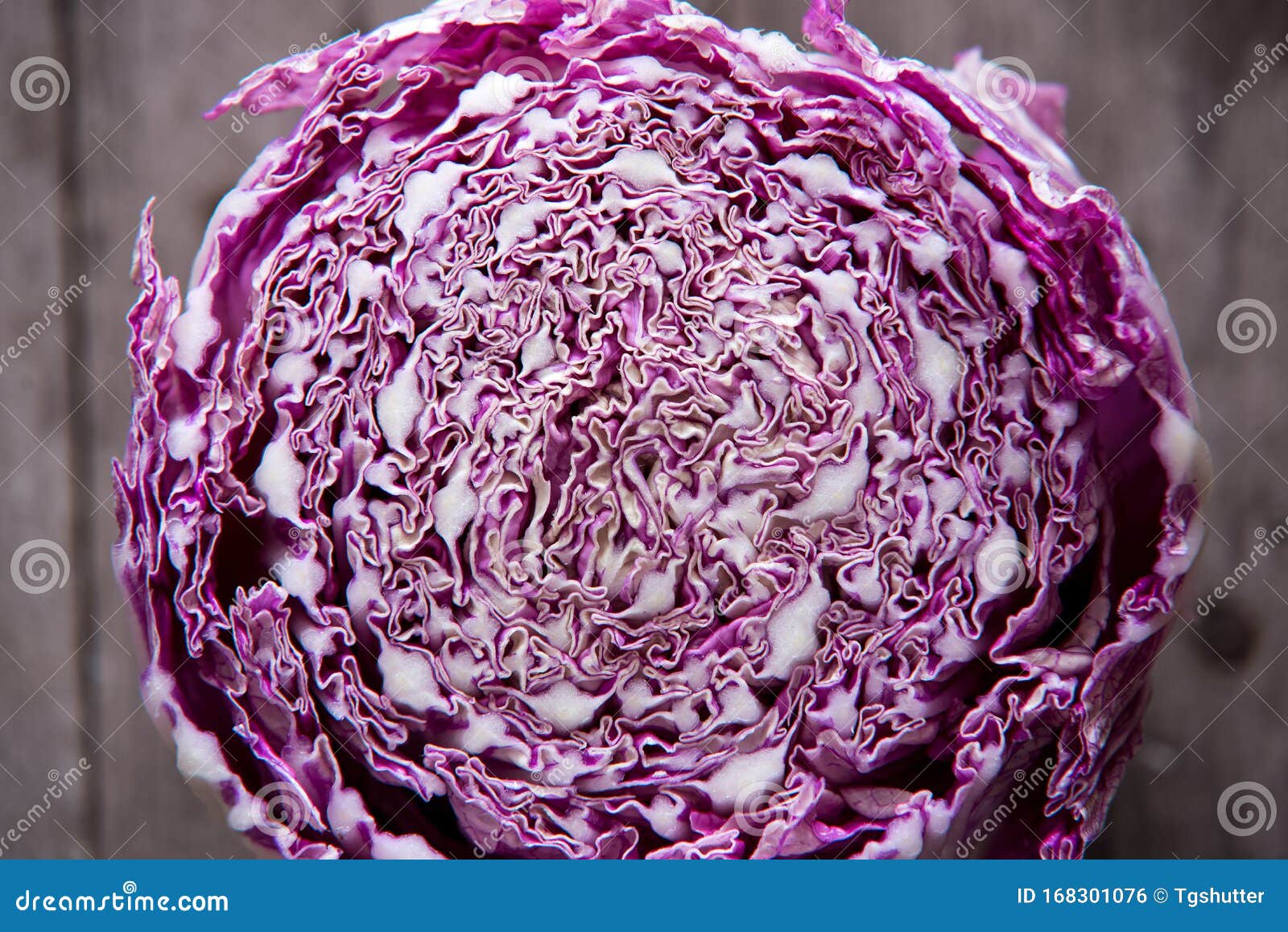 Top View of Violet Chinese Cabbage Cut on Half on Grey Background ...