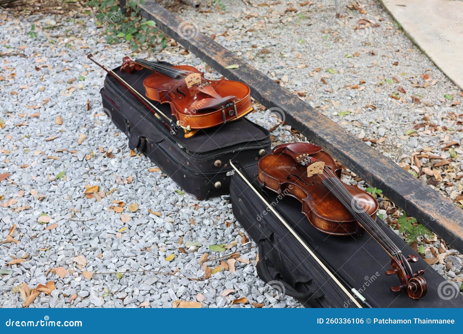 Top View Violin and Viola Instruments Placed on Black Box Orchestra ...