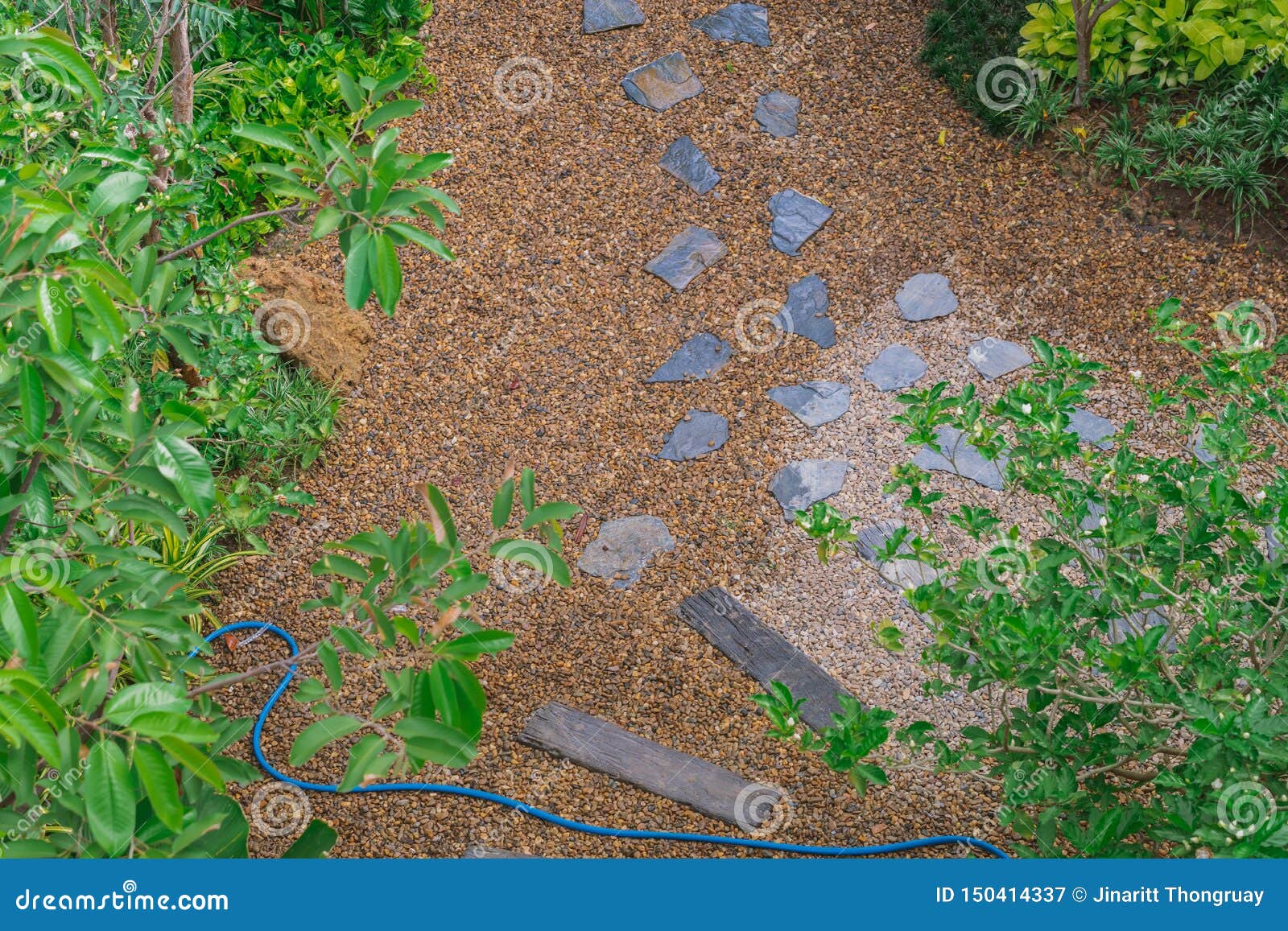 Top View of Walkway in the Garden and Green Shrub beside Pathway. Stock ...