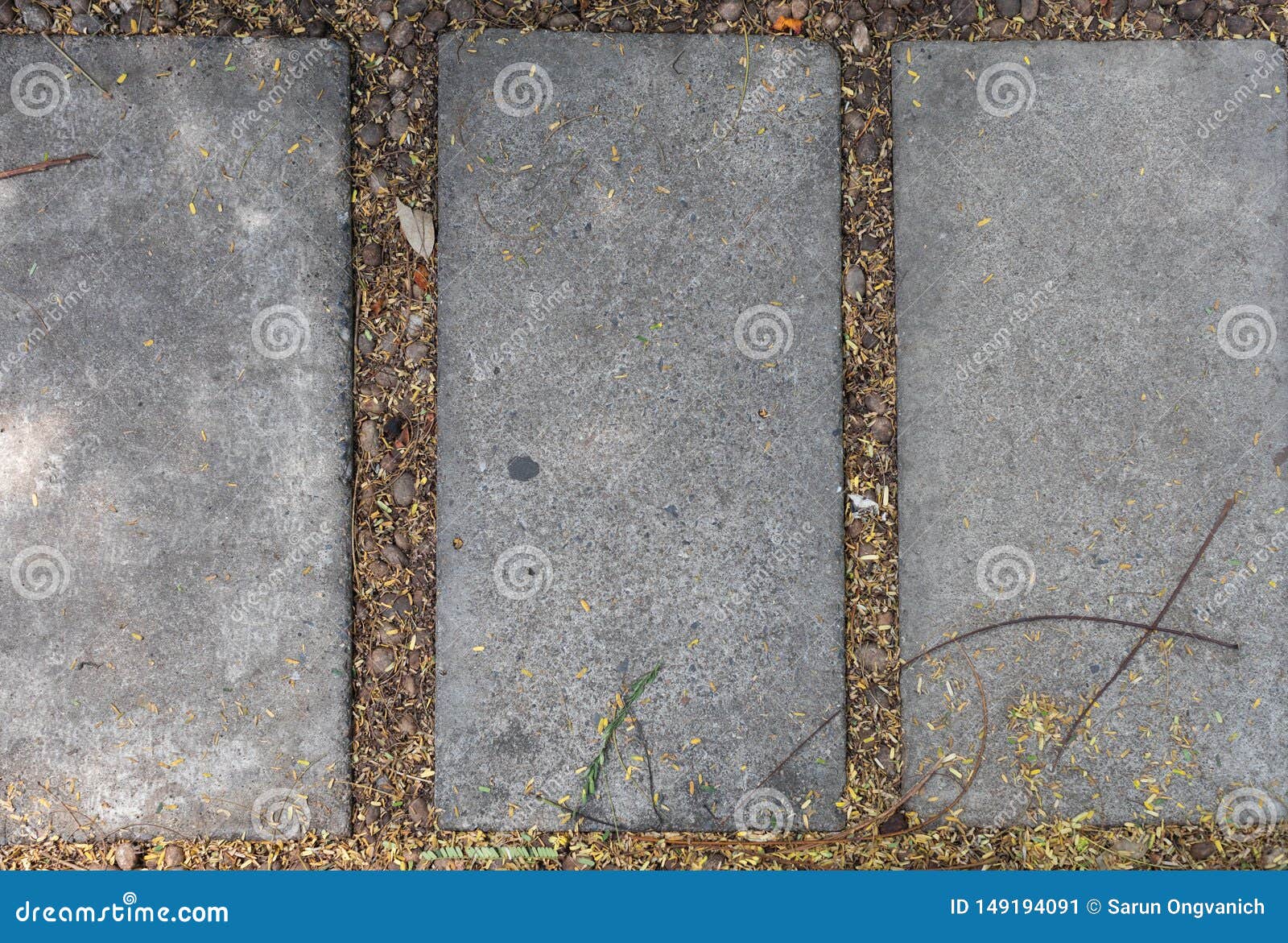 Top View of Walkway Rectangle Stone Cement Sheet in the Garden Stock ...