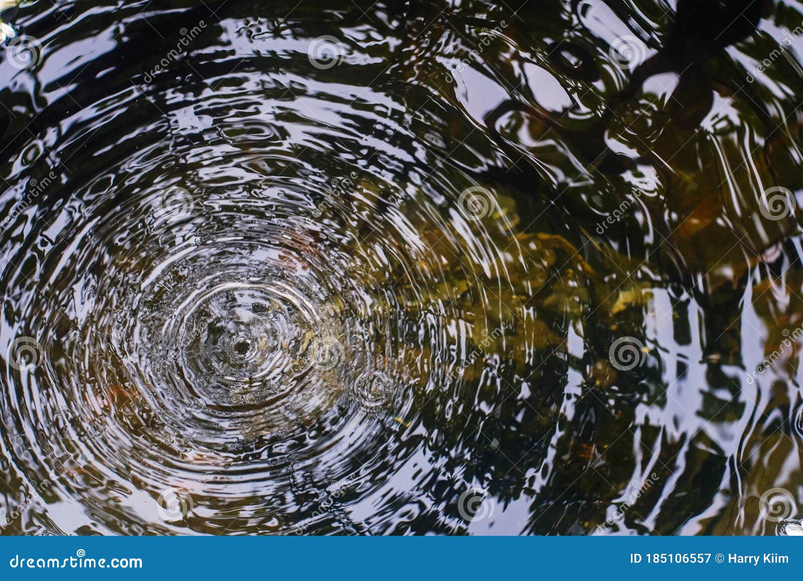 Top View of Water Droplets on the Surface Wave. Rings Surface Circle ...