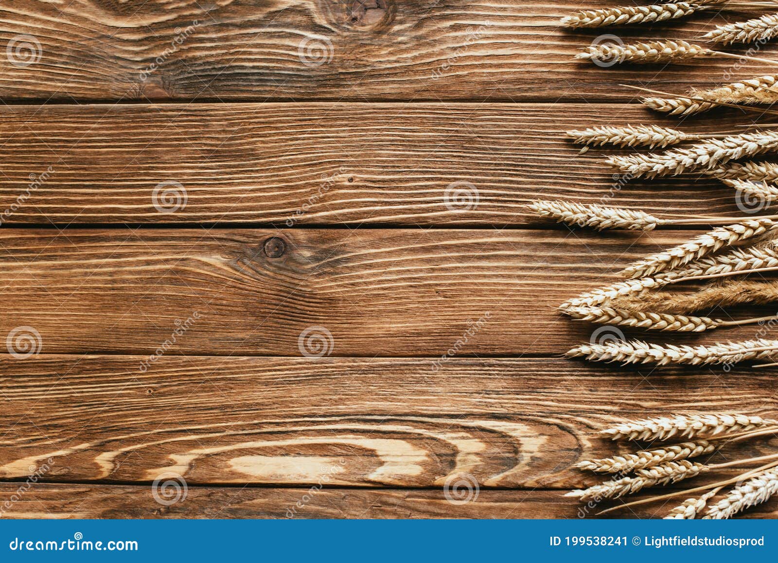 Top View of Wheat Ears Border Stock Image - Image of cereal, background ...