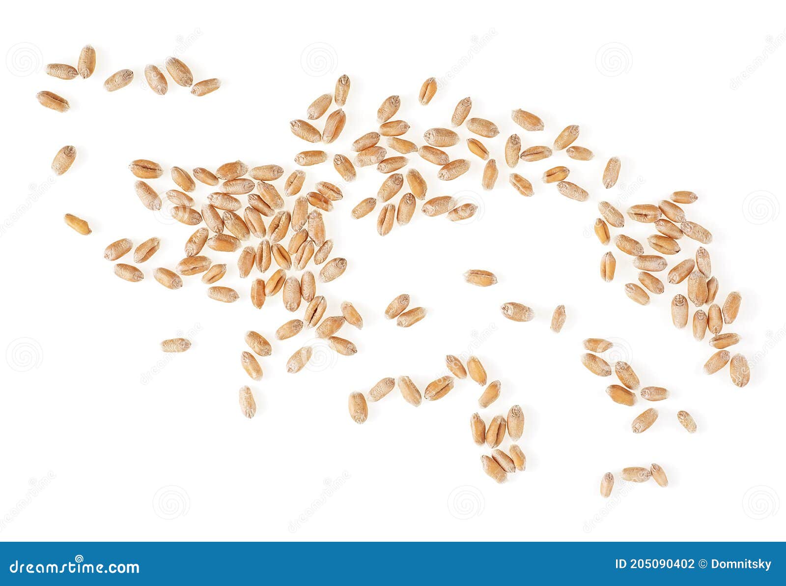 Top View of Wheat Grains Isolated on White Background Stock Photo ...