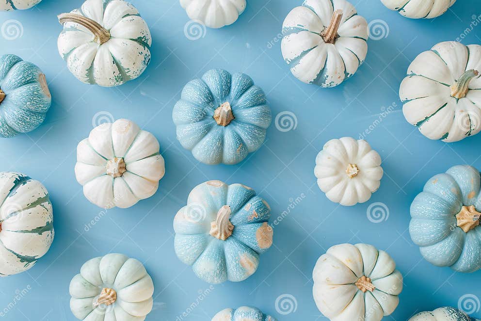 Top View of White and Blue Pumpkins on Pastel Blue Background Stock ...
