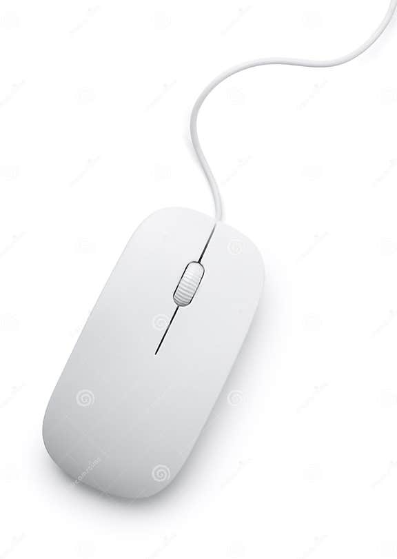Top View of White Computer Mouse Stock Photo - Image of object, mouse ...