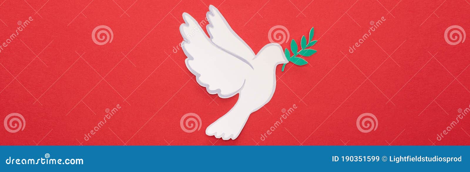 Top view of white dove as stock image. Image of backdrop - 190351599