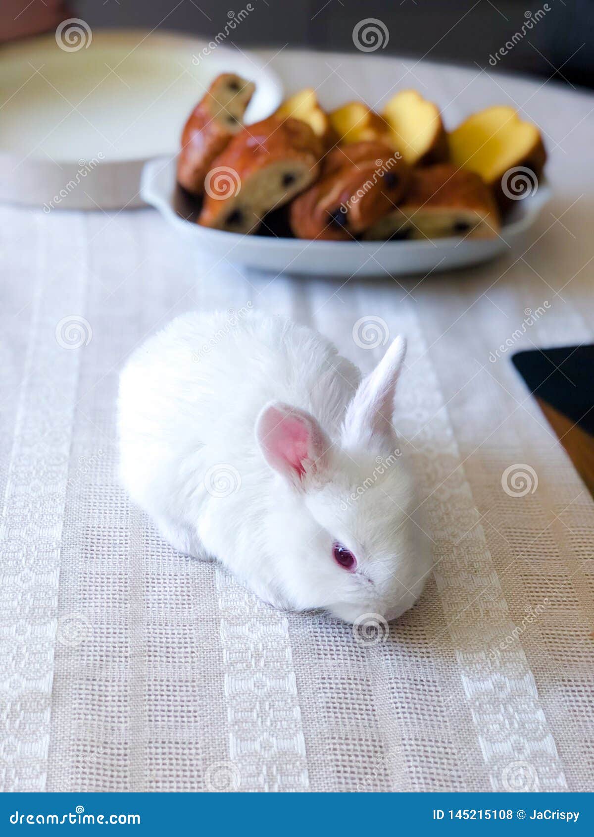 Top View of White Easter Bunny on the Table. Cute Little Rabbit on ...