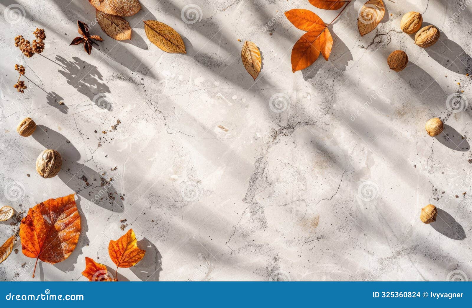 Top View of a White Granite Countertop, Frame of Autumn Leaves and Nuts ...